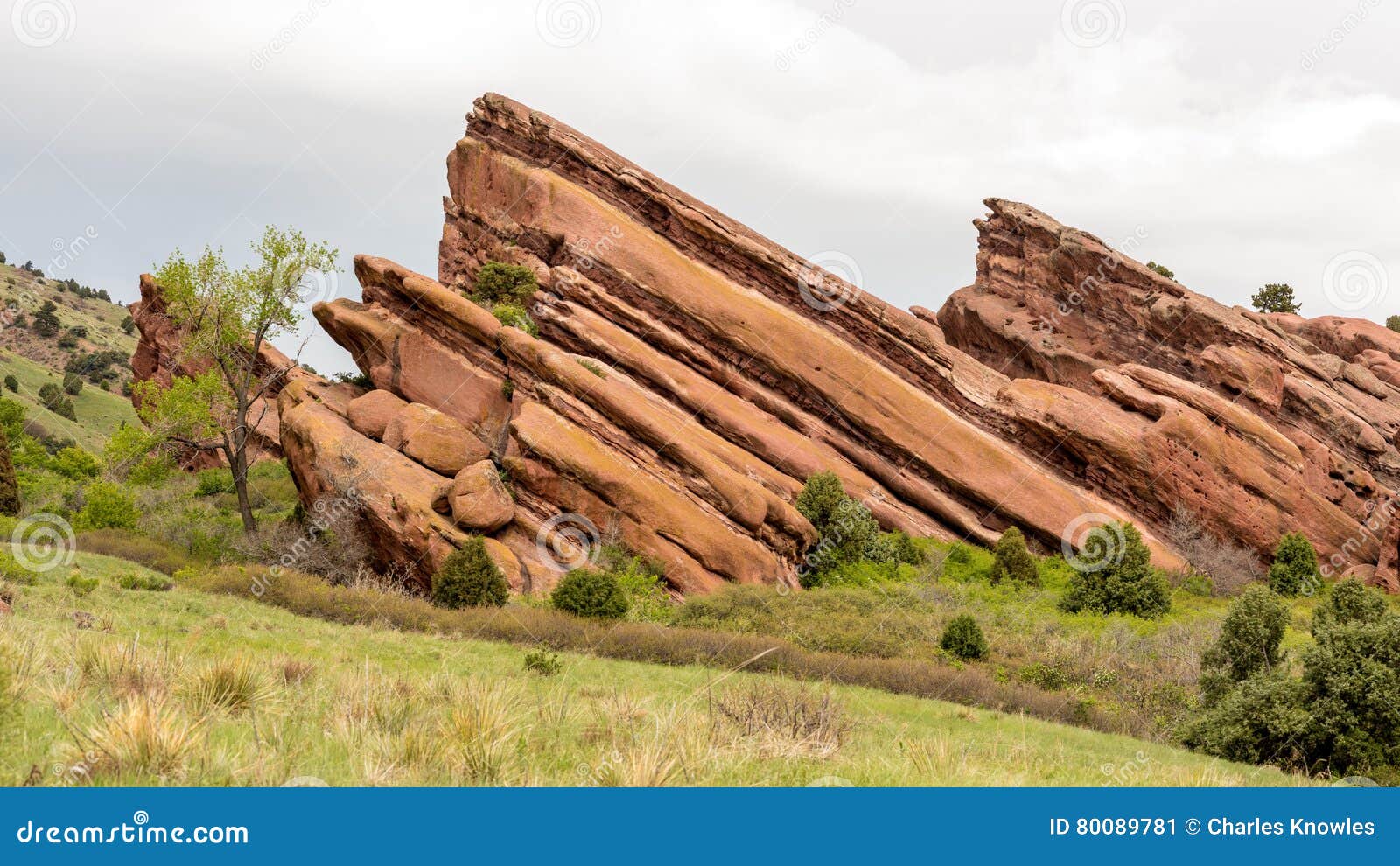 Sandstone Bluff in Colorado with Tree and Grass Stock Image - Image of ...