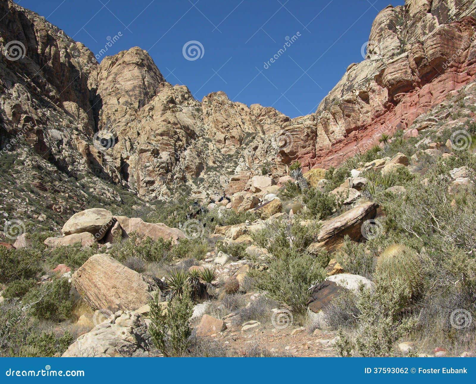 Sandstone Bluffs in Red Rock Canyon, Nevada. Stock Photo - Image of ...