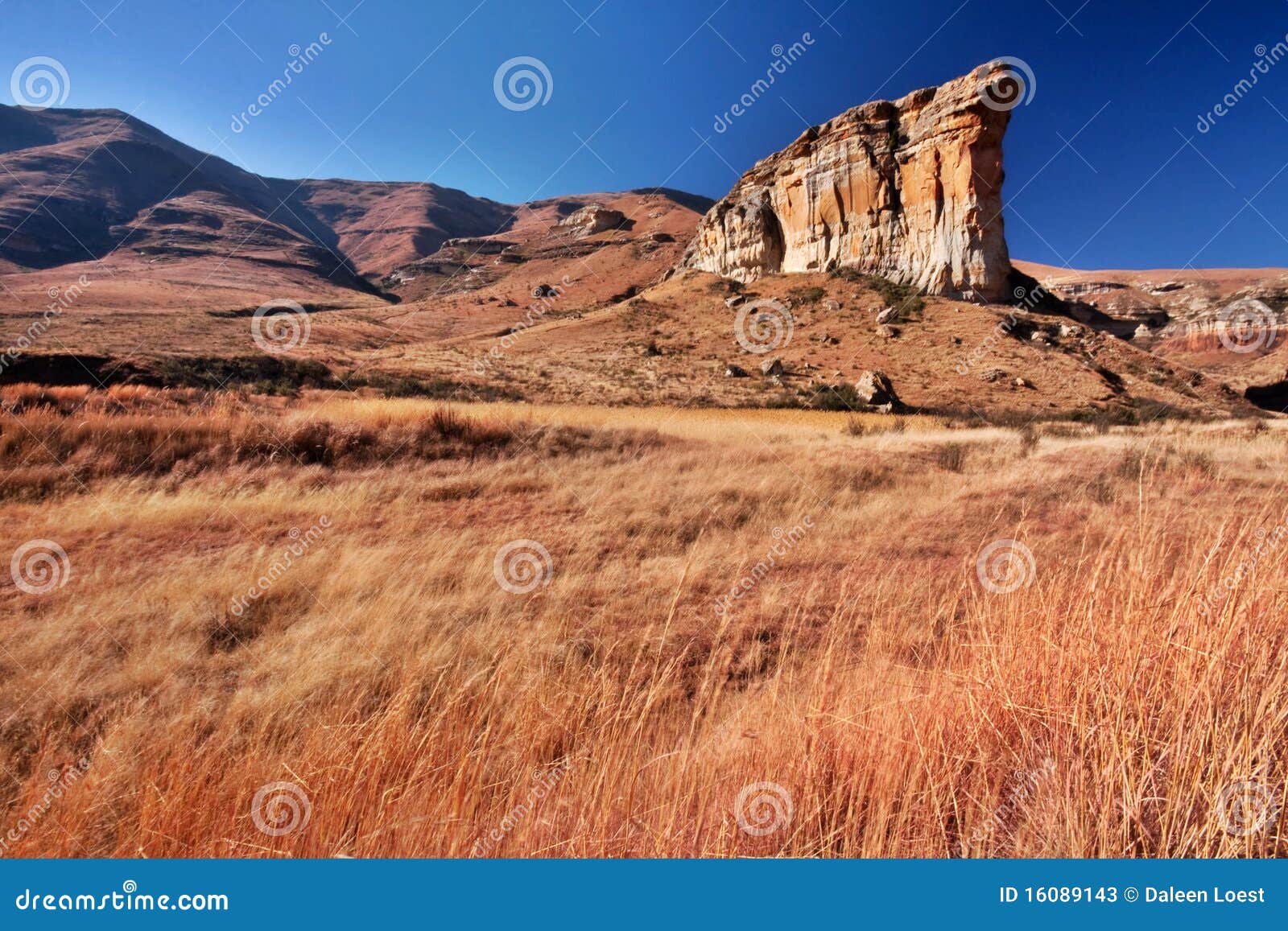 Sandstone cliff stock image. Image of brandwag, national - 16089143
