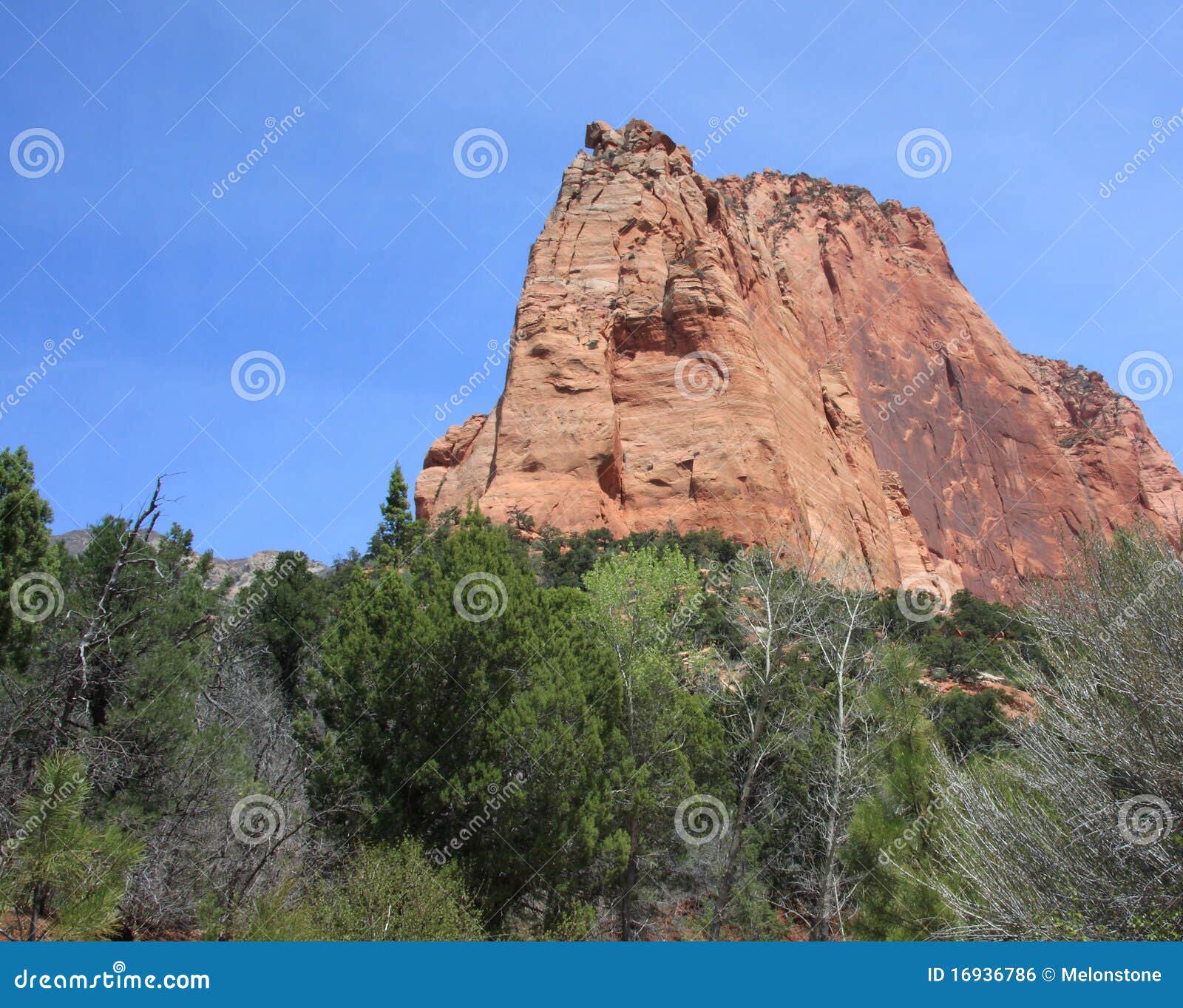 Sandstone cliff stock photo. Image of geological, plateau - 16936786
