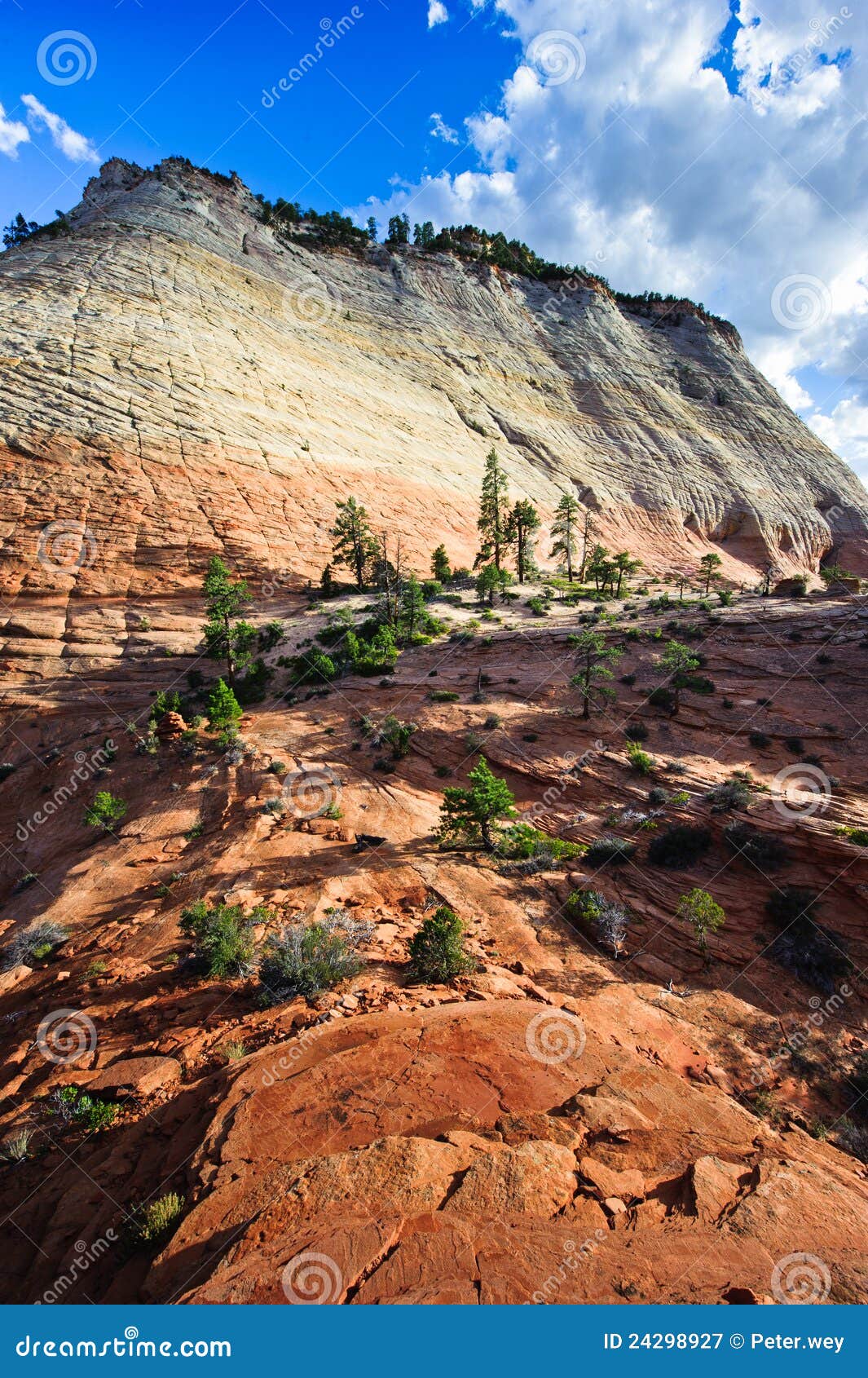 Sandstone Cliff in Zion National Park Stock Image - Image of zion ...
