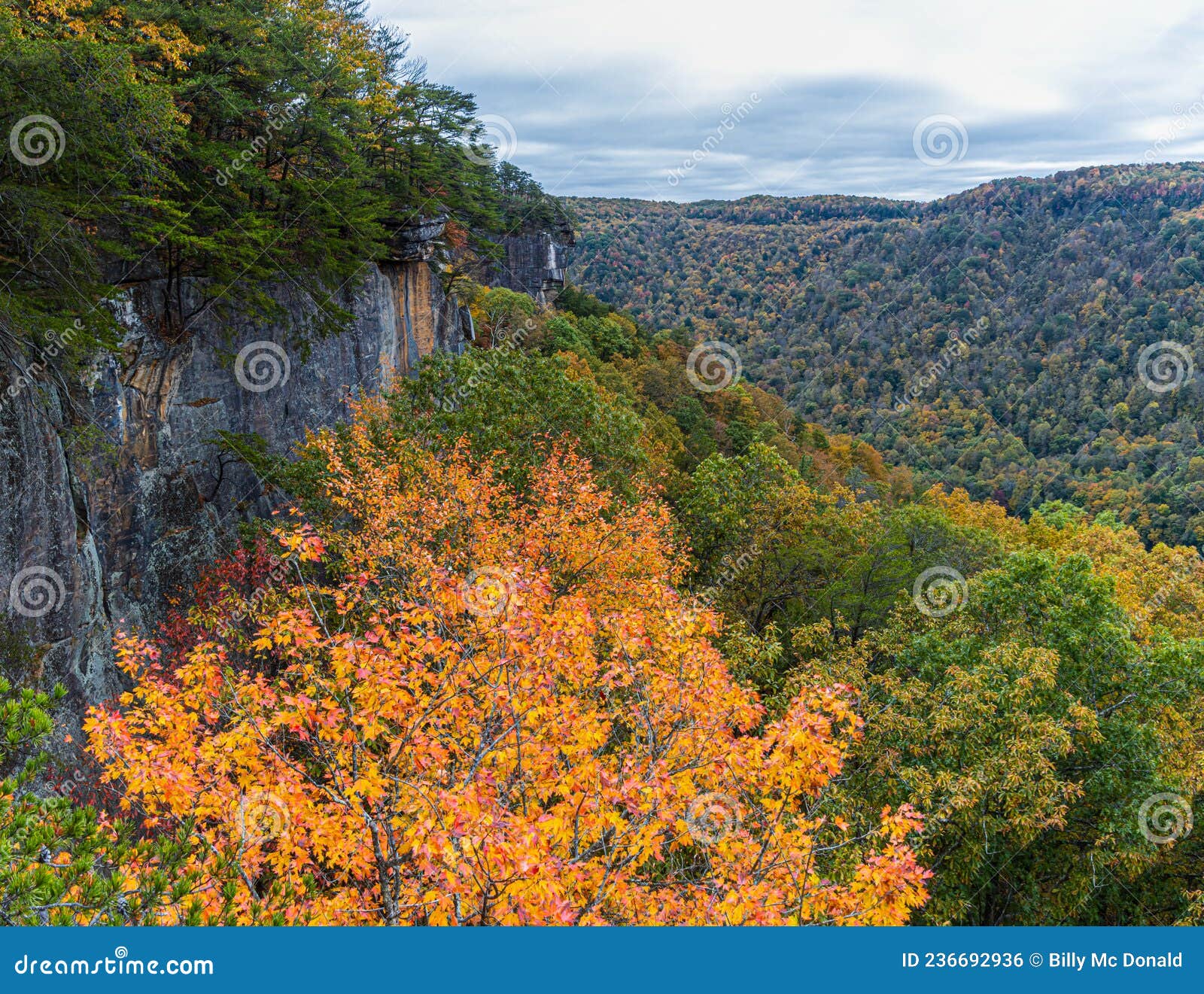 The Sandstone Cliffs of the Endless Wall Stock Photo - Image of ...