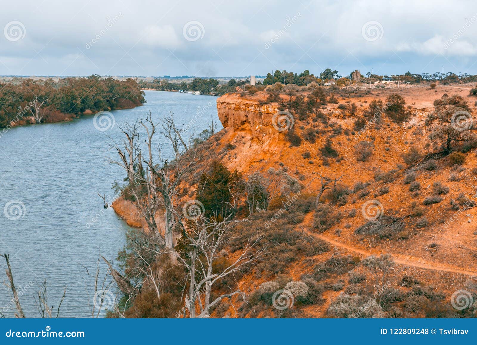 Sandstone Cliffs and Eucalyptuses Over Murray River. Stock Photo ...