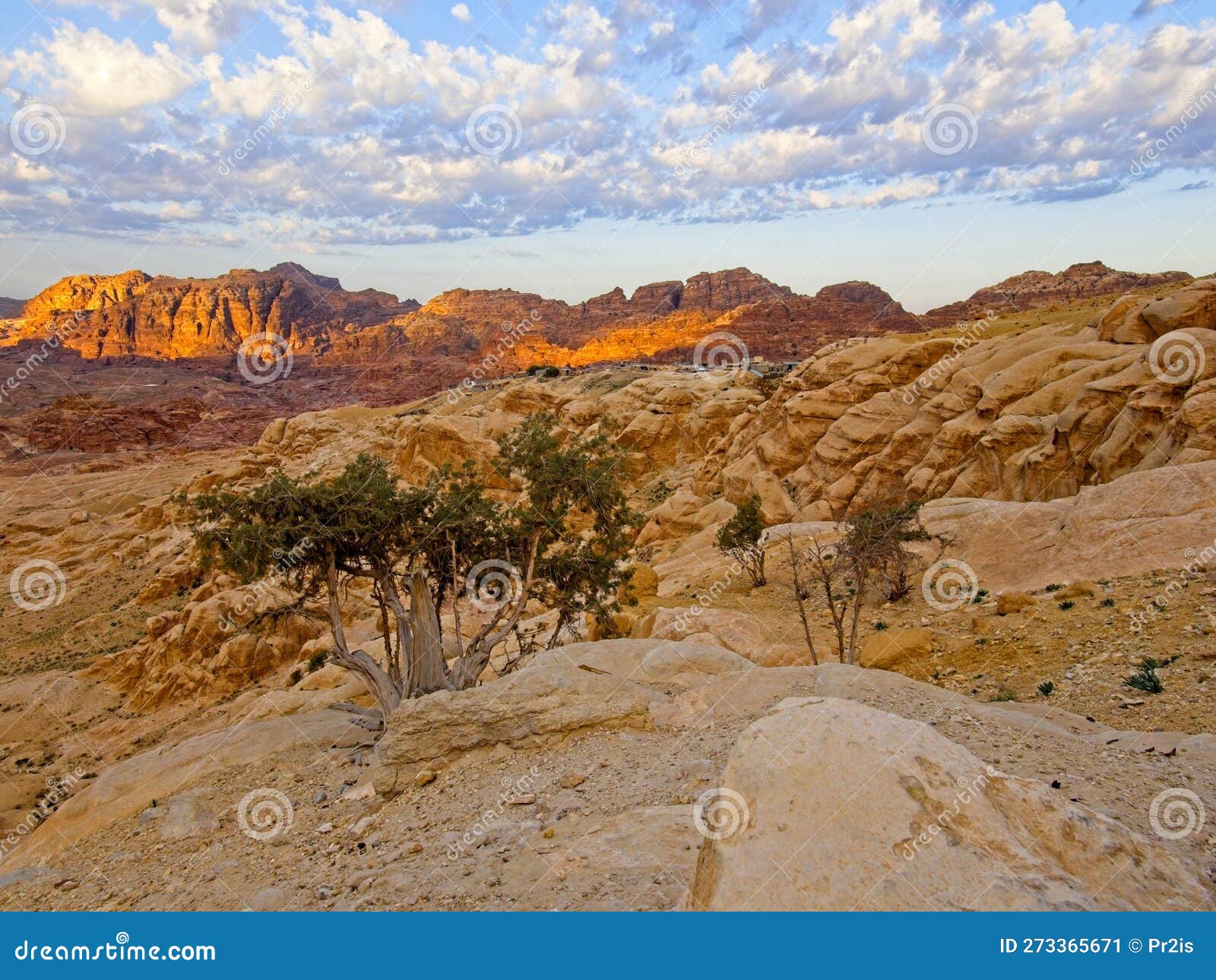 Sandstone Cliffs in the Jordanian Dessert Stock Image - Image of cliff ...