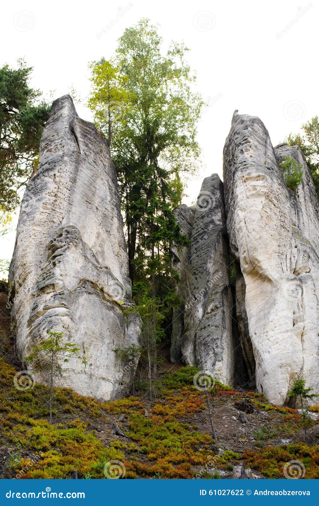 Sandstone Cliffs - Prachov Rocks, Czech Republic Stock Photo - Image of ...