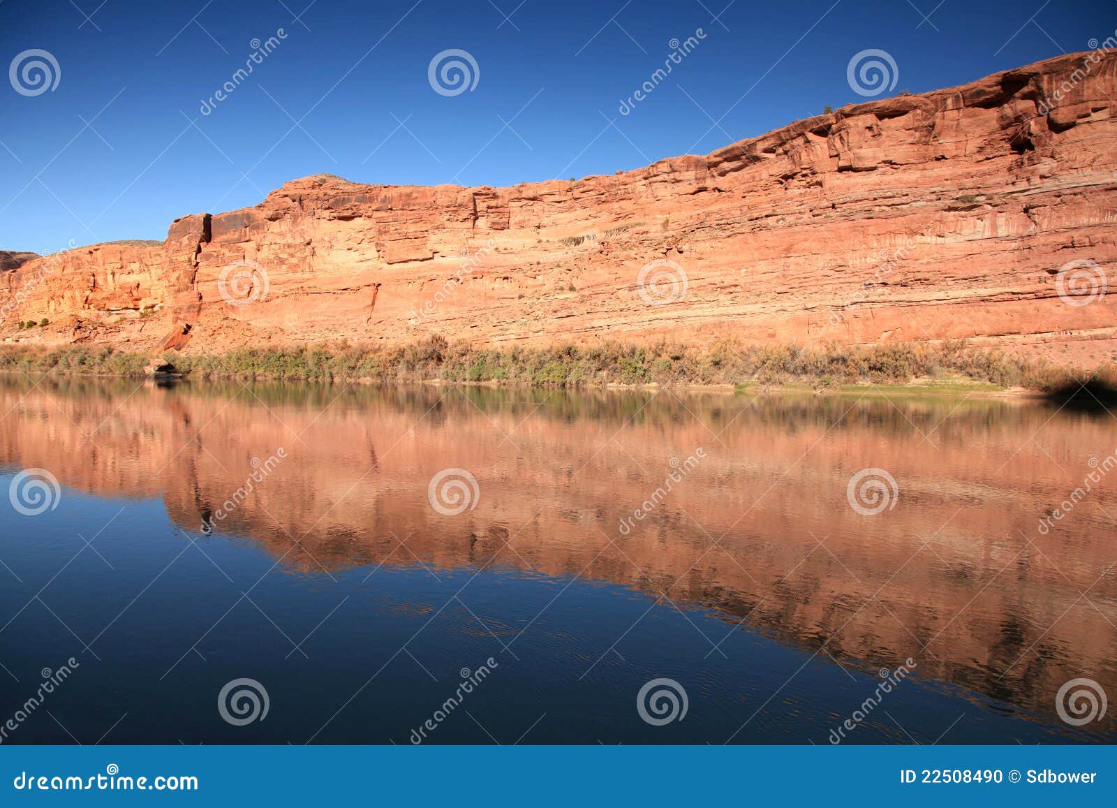 Sandstone Cliffs Reflected in the Colorado River Stock Photo - Image of ...