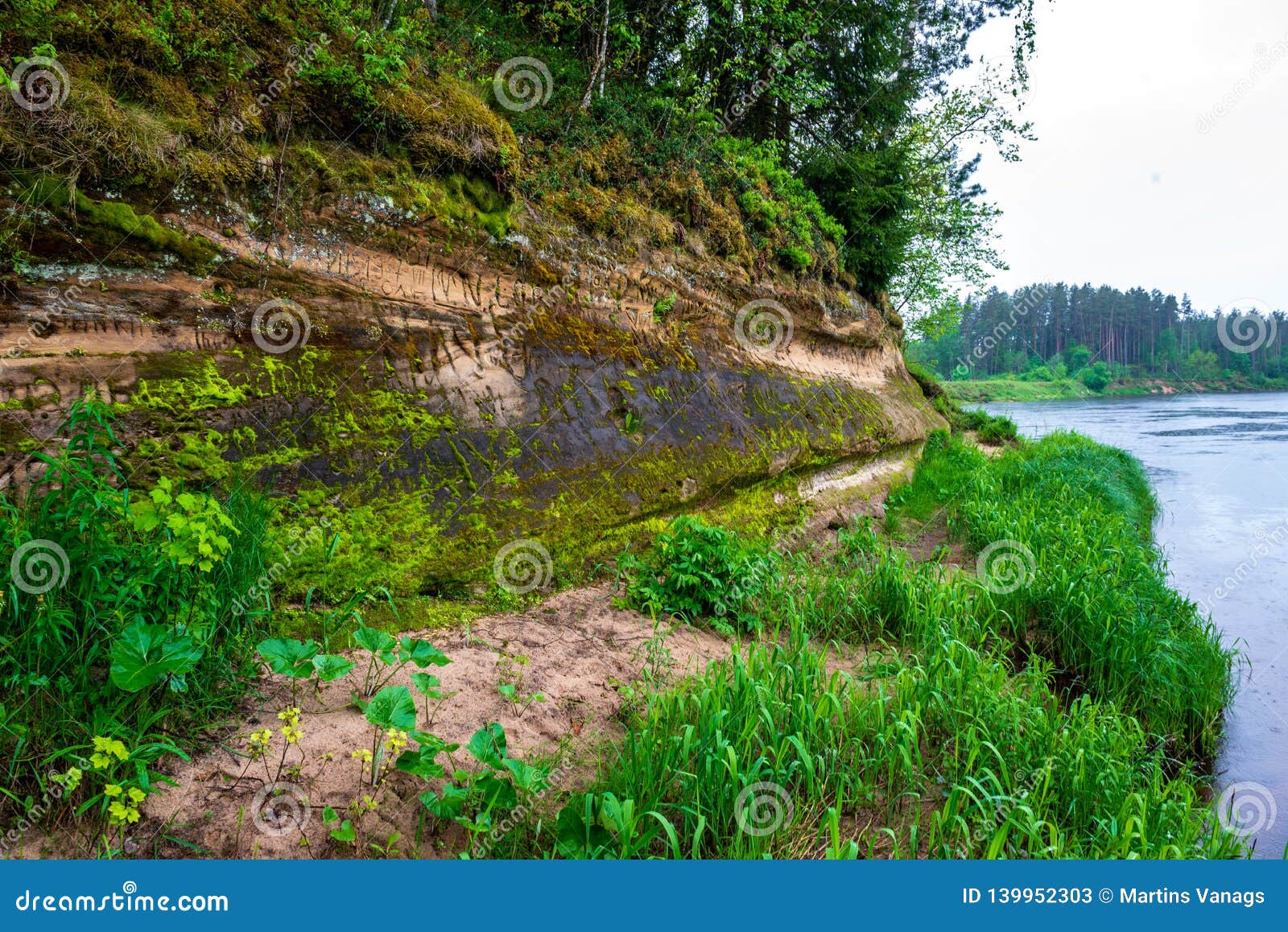 Sandstone Cliffs on the Shore of Forest River Stock Image - Image of ...