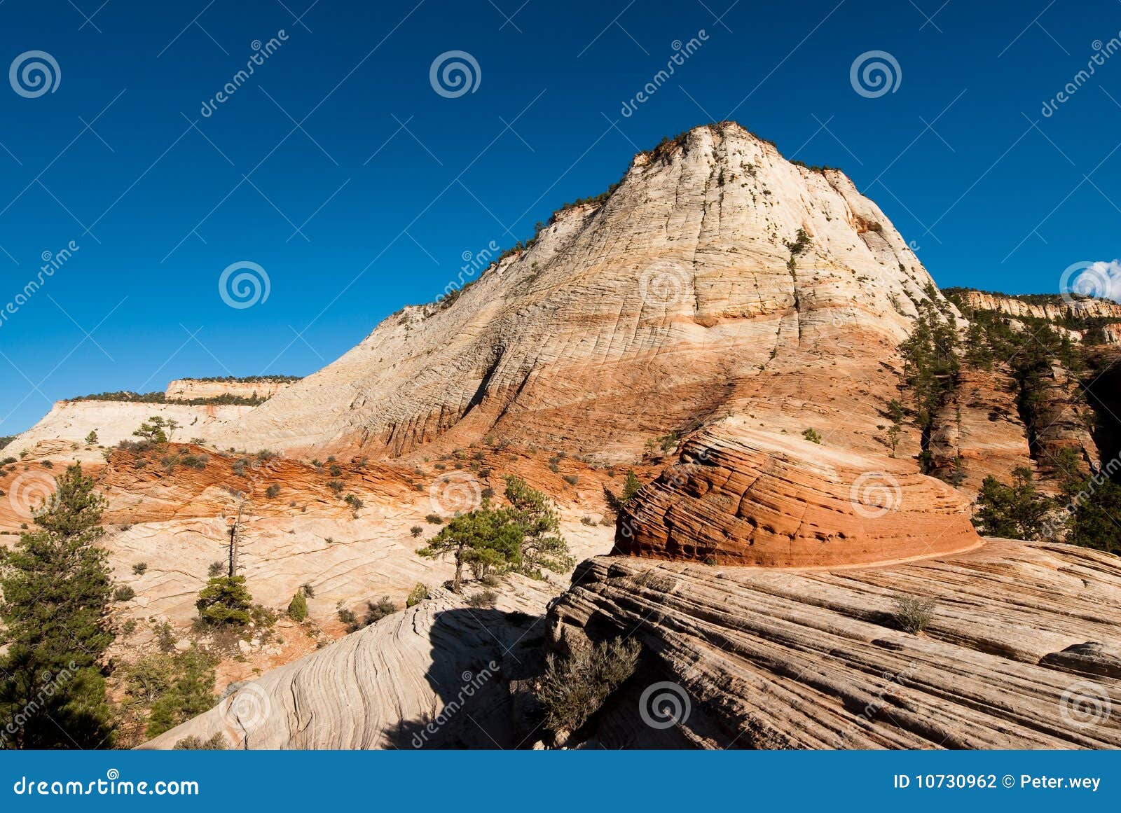 Sandstone Cliffs in Zion National Park Stock Photo - Image of vista ...