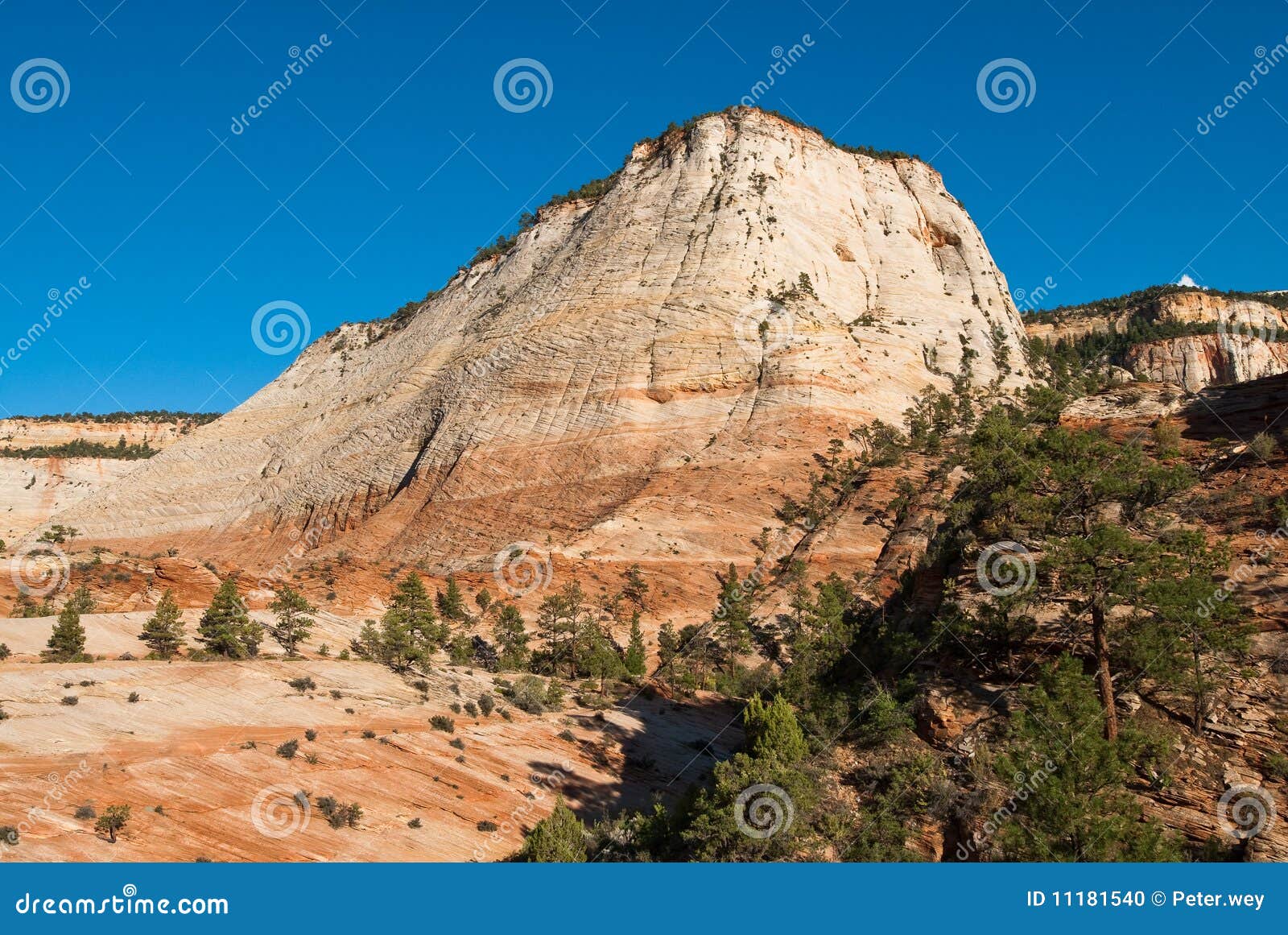 Sandstone Cliffs in Zion National Park Stock Photo - Image of orange ...