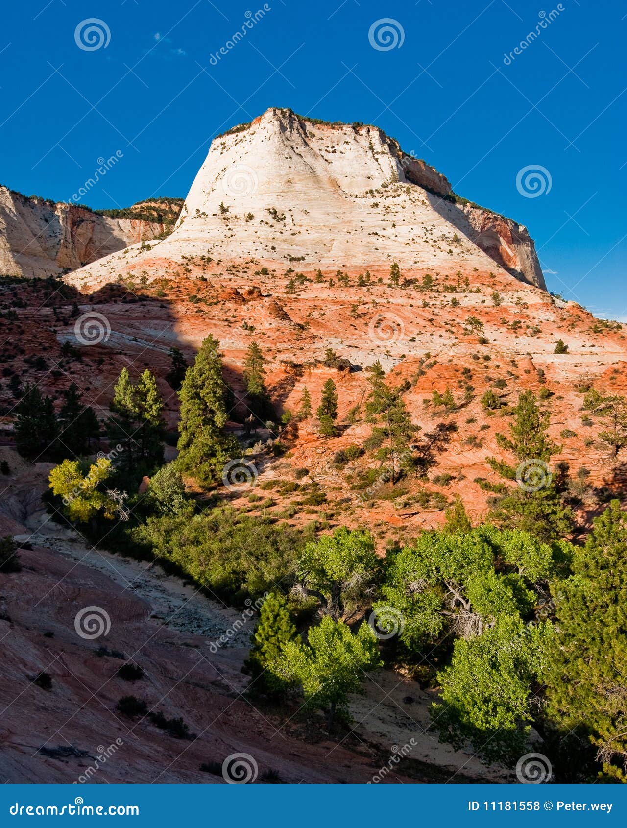 Sandstone Cliffs in Zion National Park Stock Photo - Image of canyon ...