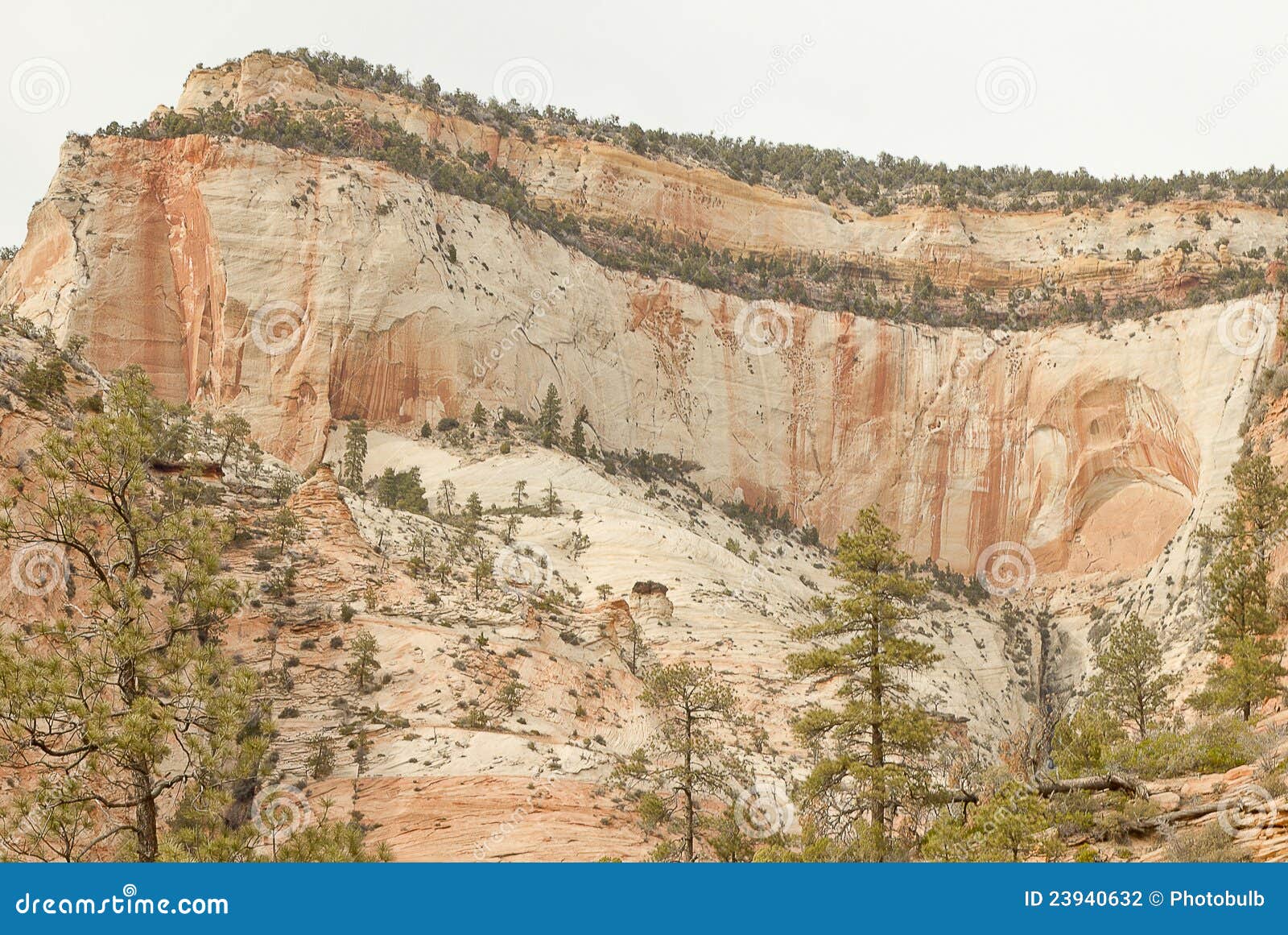 Sandstone Cliffs of Zion National Park, Utah Stock Photo - Image of ...