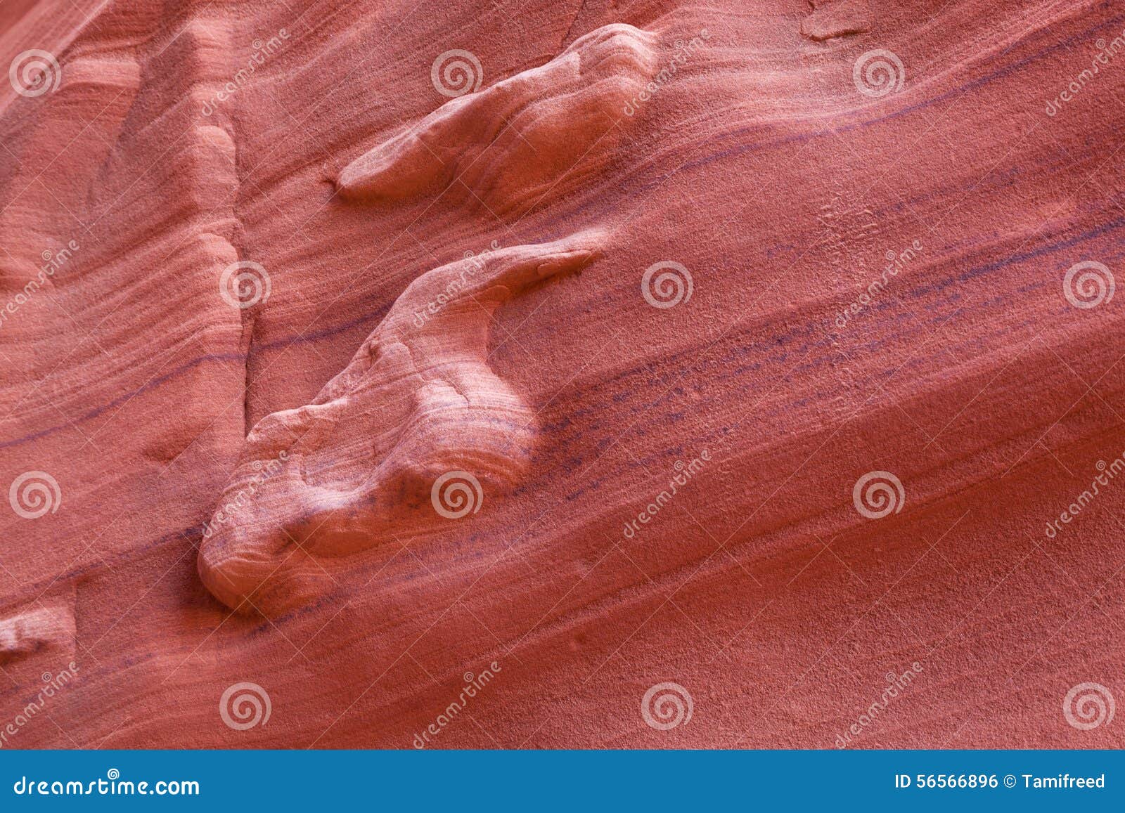 Sandstone Features stock photo. Image of explore, arizona - 56566896