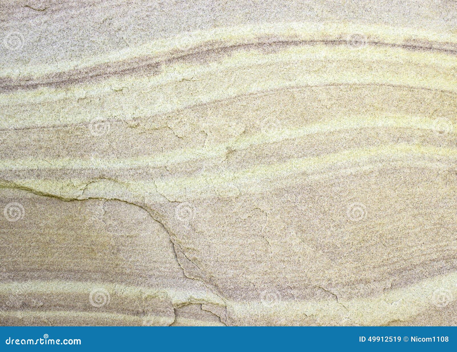 Sandstone Flooring Beside A Garden.Detail Of Sandstone Texture. Stock ...