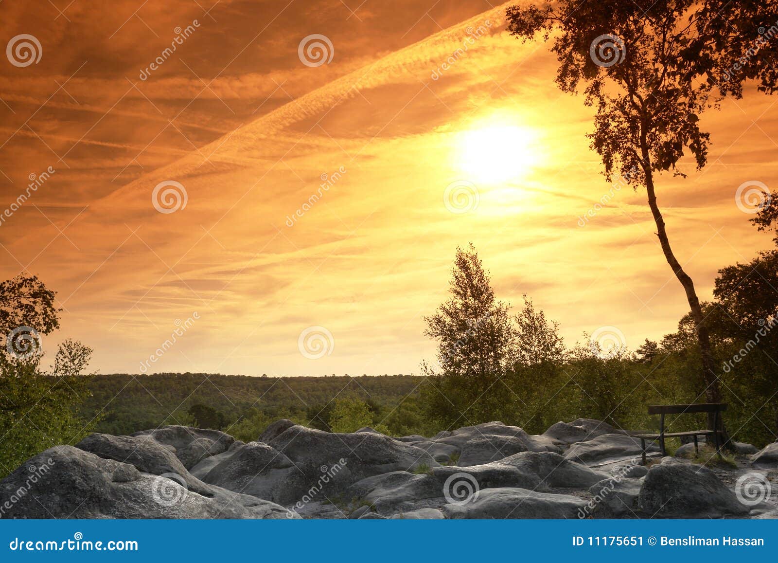 Sandstone in Fontainebleau Forest Stock Image - Image of outdor ...