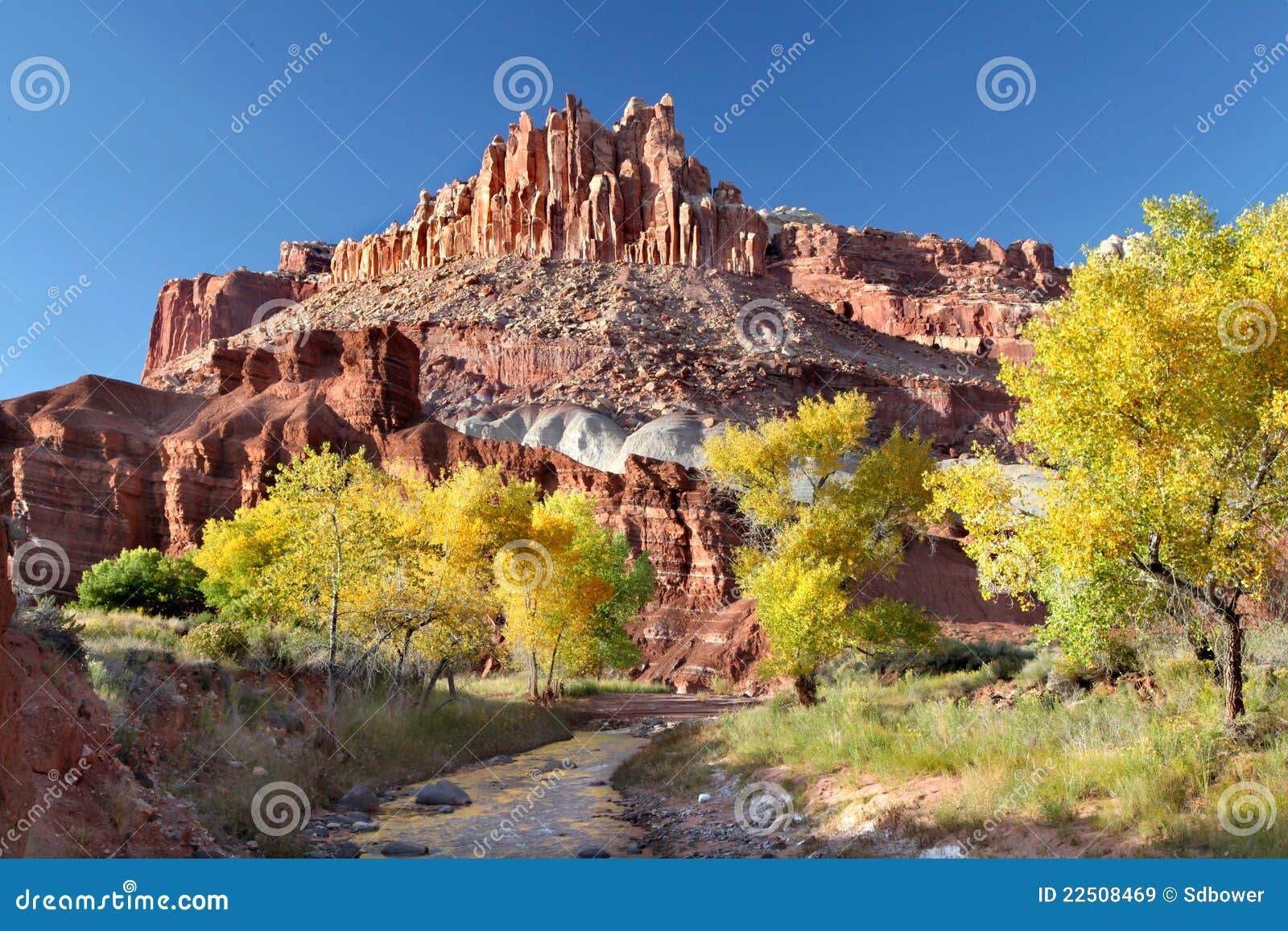 Sandstone Formations Fall Foliage Capital Reef N P Stock Image - Image ...