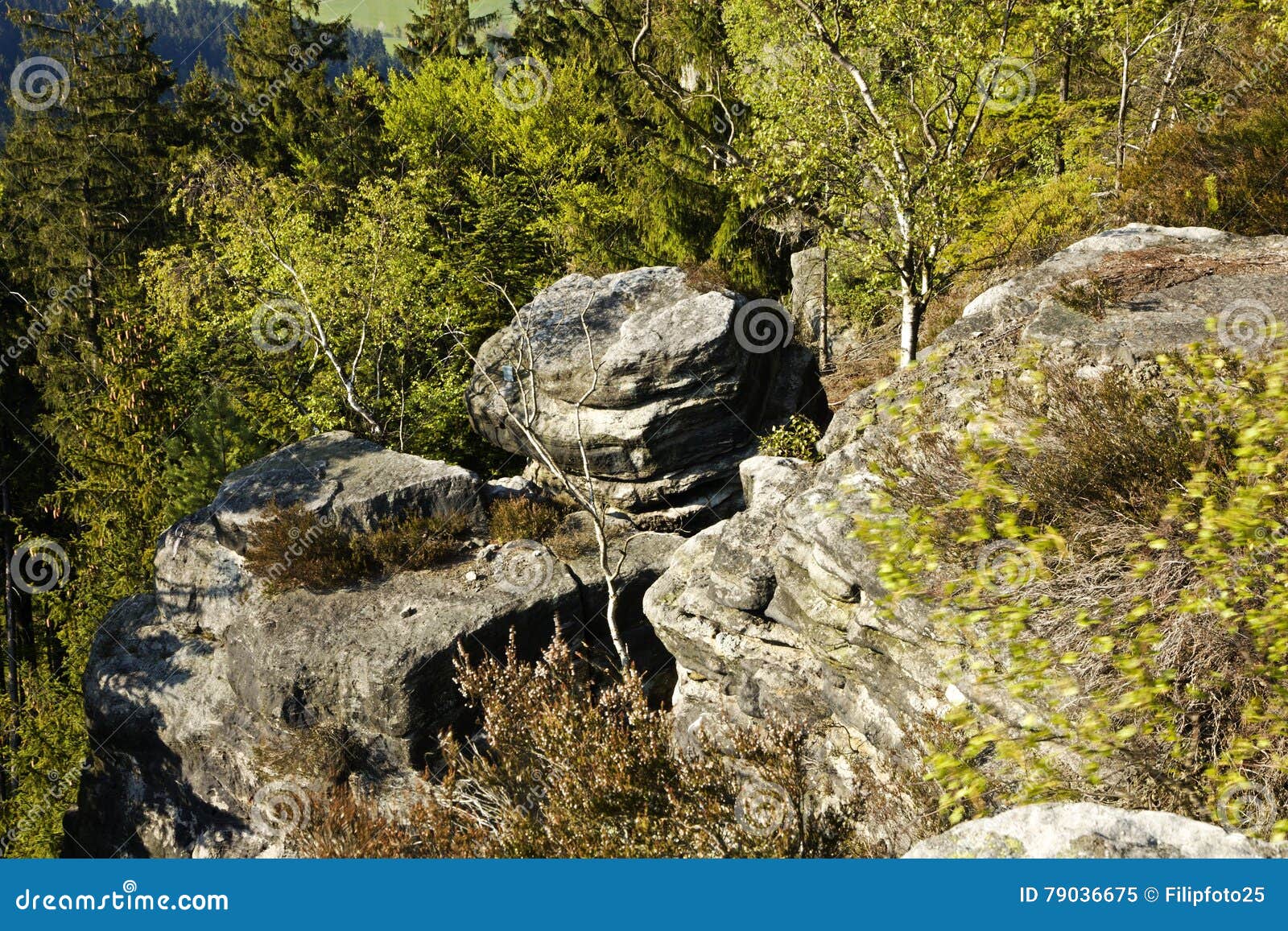 Sandstone Formations in Forest Stock Image - Image of sandstone ...