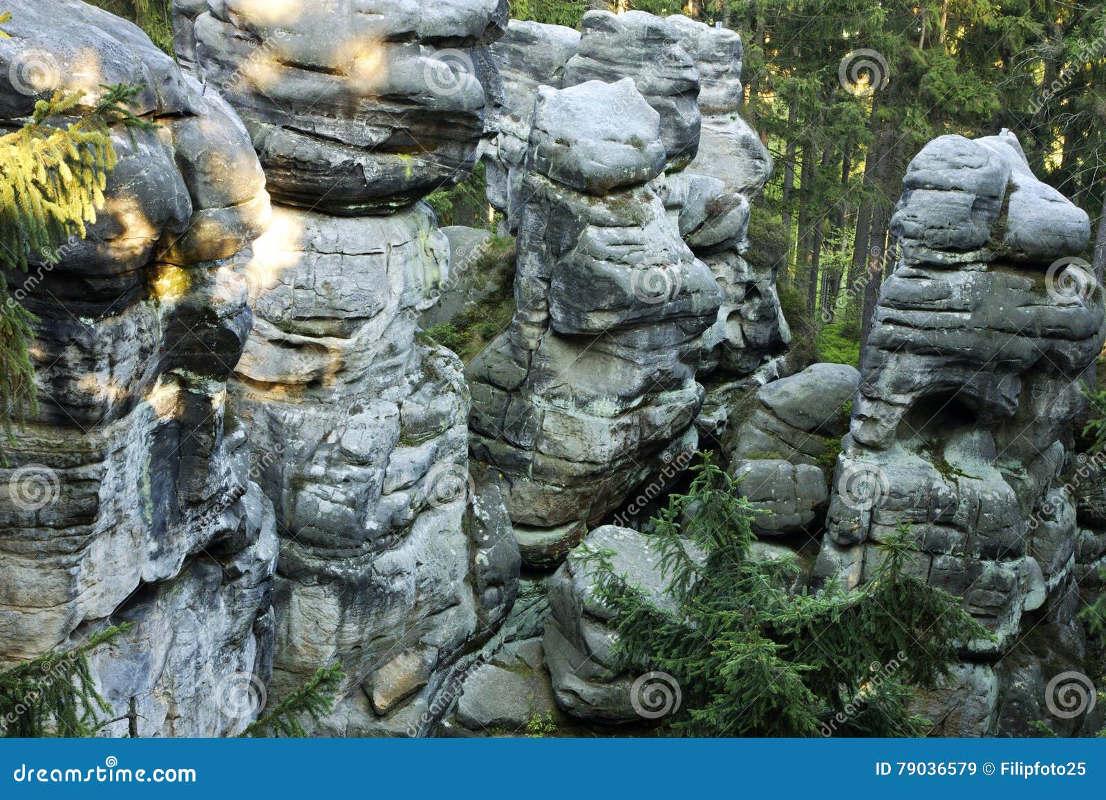 Sandstone Formations in Spruce Forest Stock Image - Image of sandstone ...