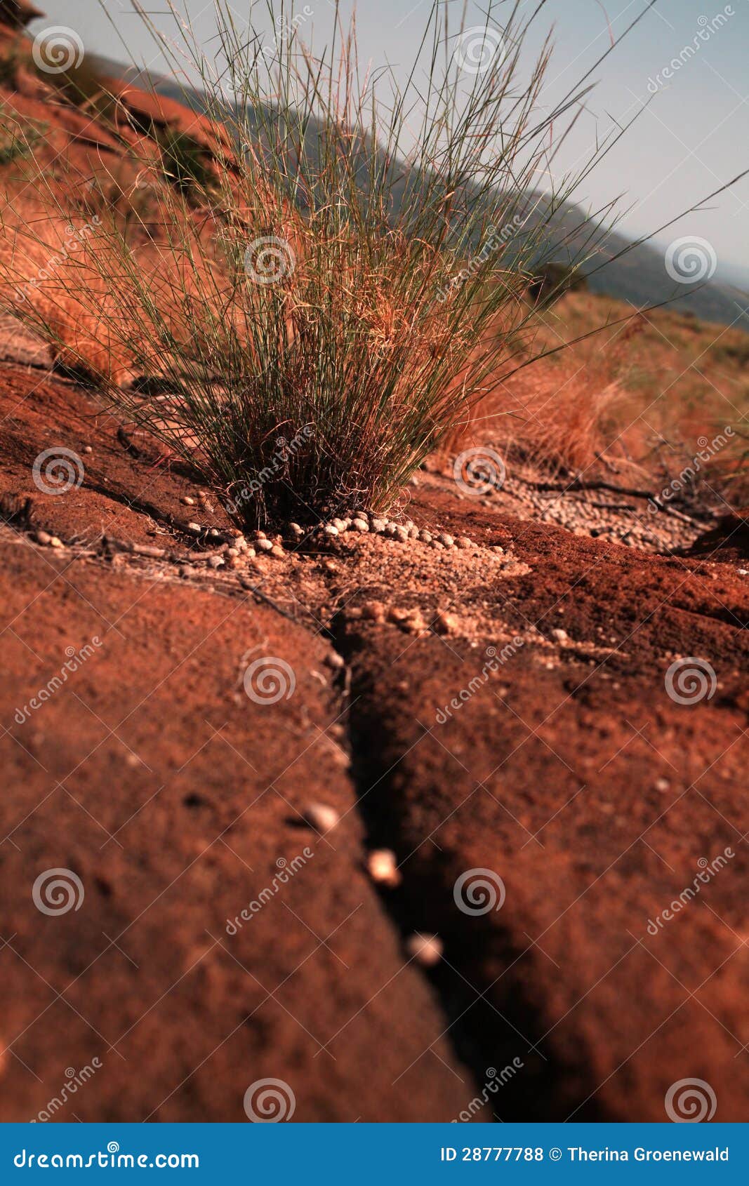Sandstone rock stock photo. Image of grains, nature, orange - 28777788