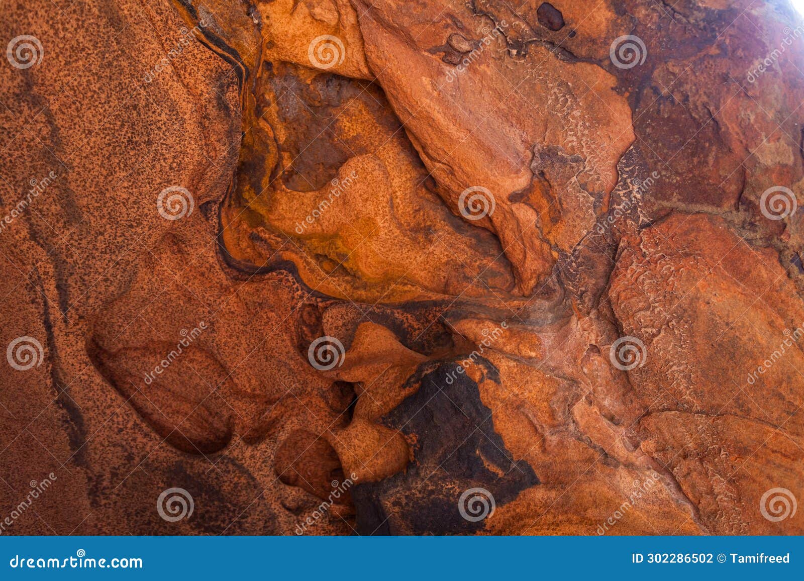 Iron Patterns in Eroded Sandstone Rock at Zion National Park Stock ...