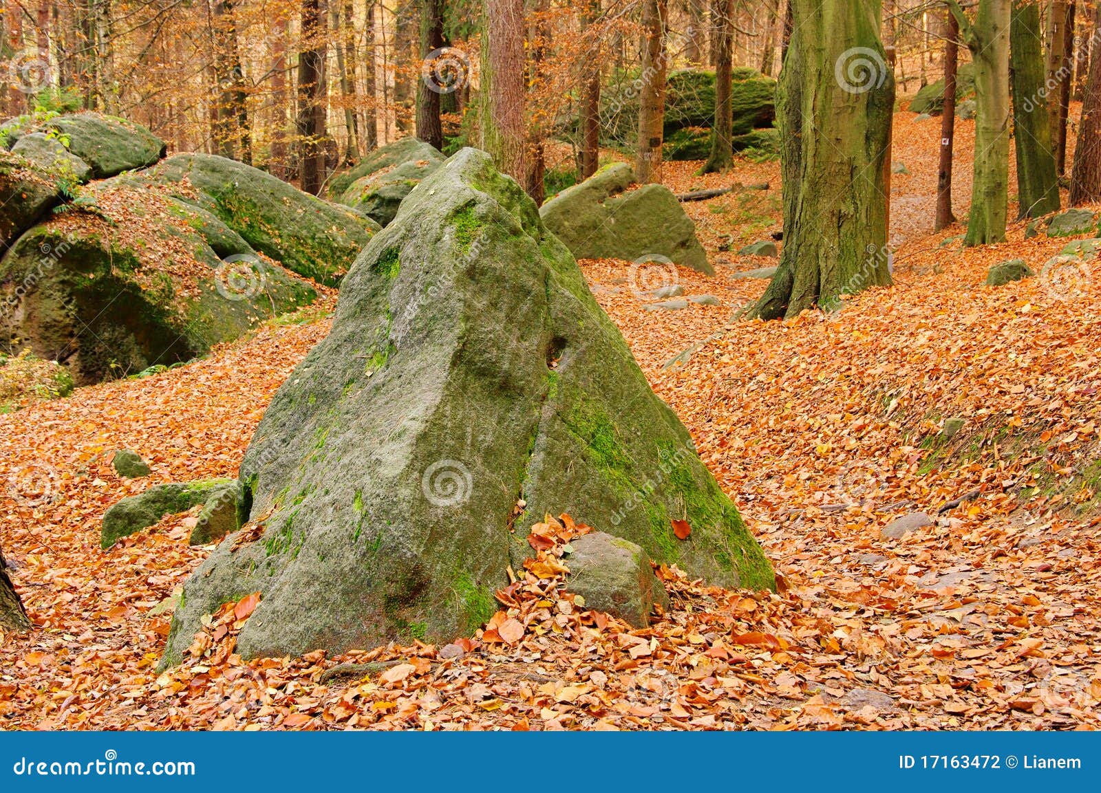 Sandstone rock in forest stock photo. Image of switzerland - 17163472