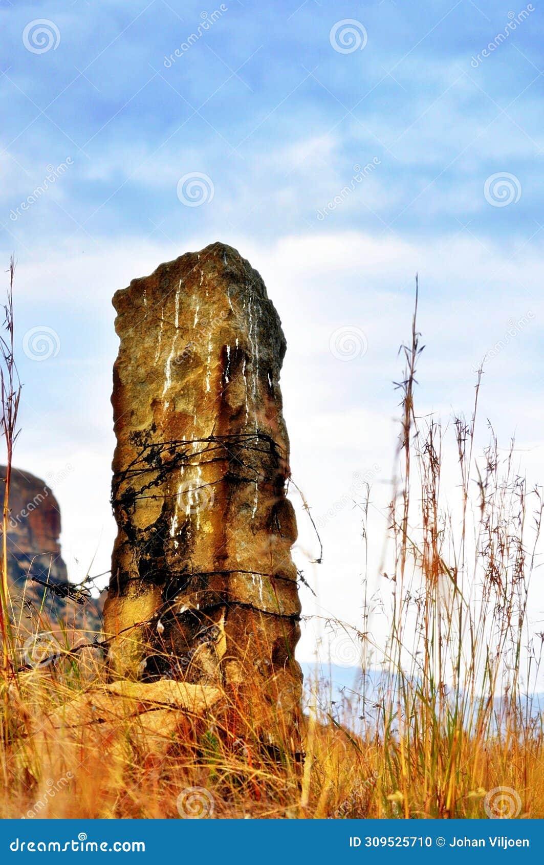 Sandstone rock pillar stock photo. Image of sandstone - 309525710