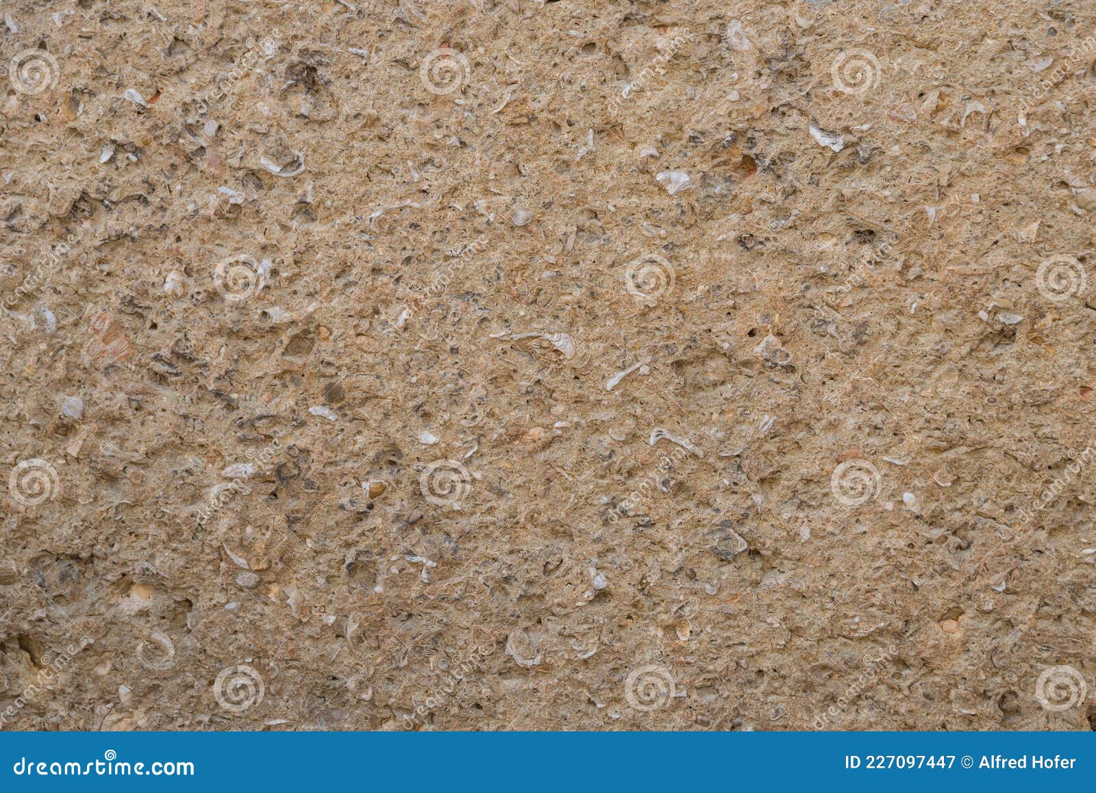 Sandstone - rough surface stock image. Image of stone - 227097447