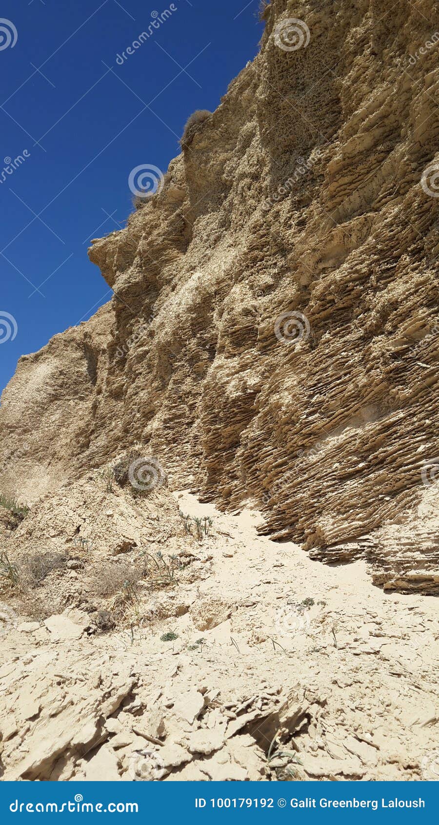 Sandstone Sediment Layered Cliff Stock Photo - Image of grey, kurkar ...