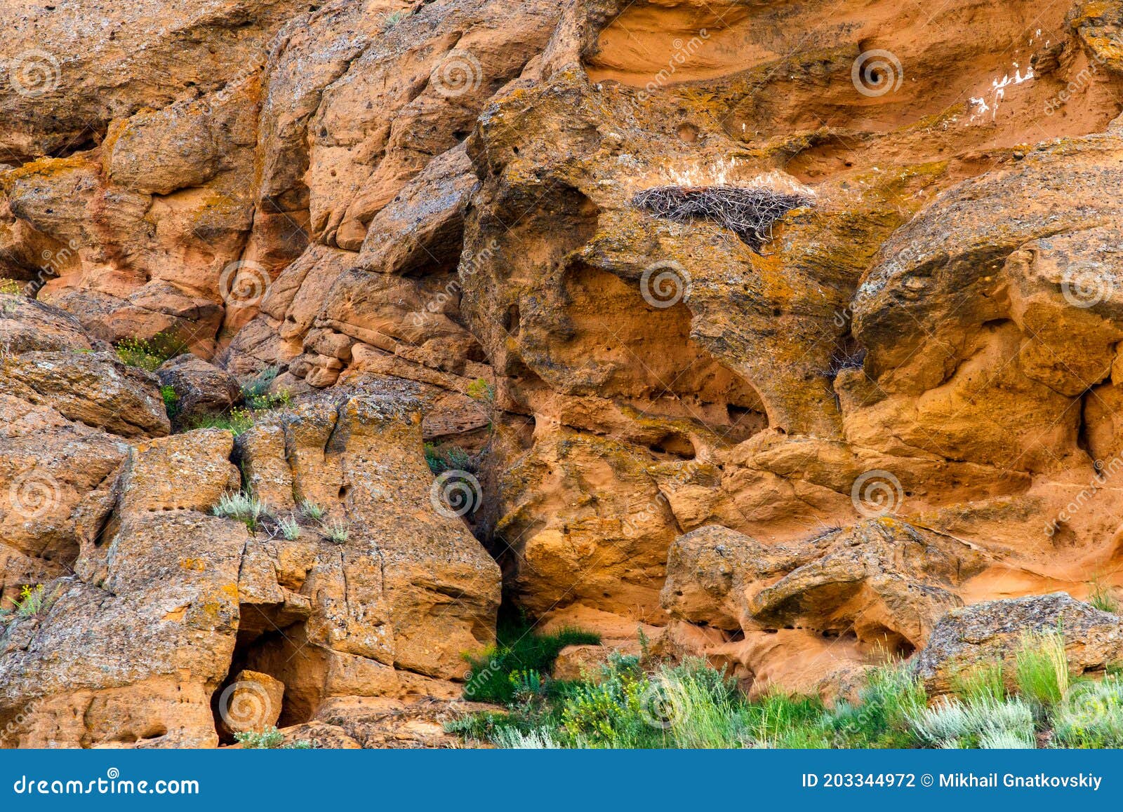 Sandstone Sheer Cliff Face with Eagles Nest Stock Photo - Image of ...