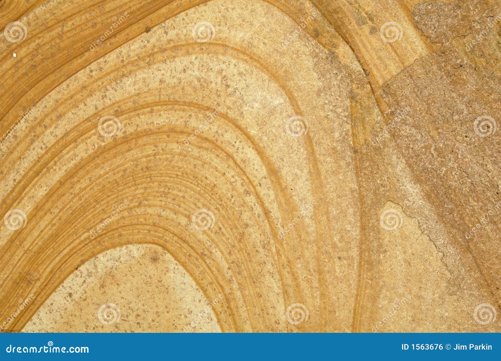 Sandstone surface stock photo. Image of curves, sandstone - 1563676
