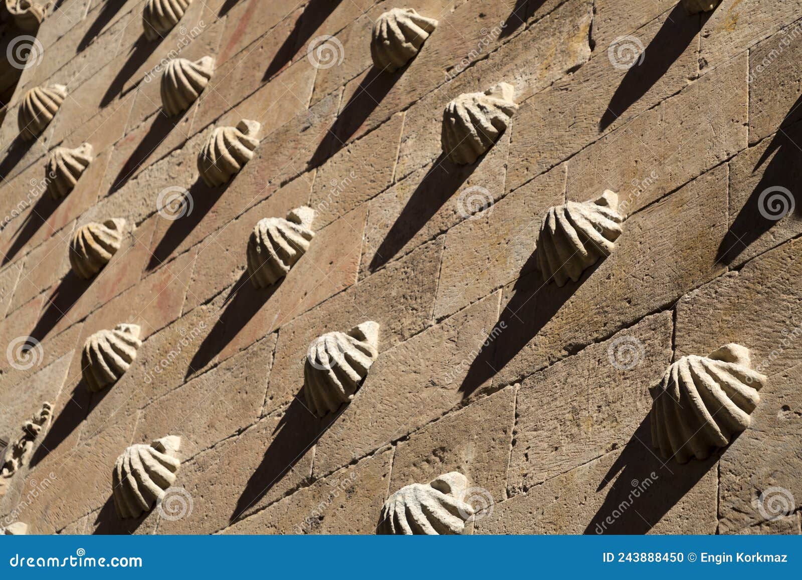 Sandstone Surface with Sea Shell Carvings Stock Photo - Image of design ...