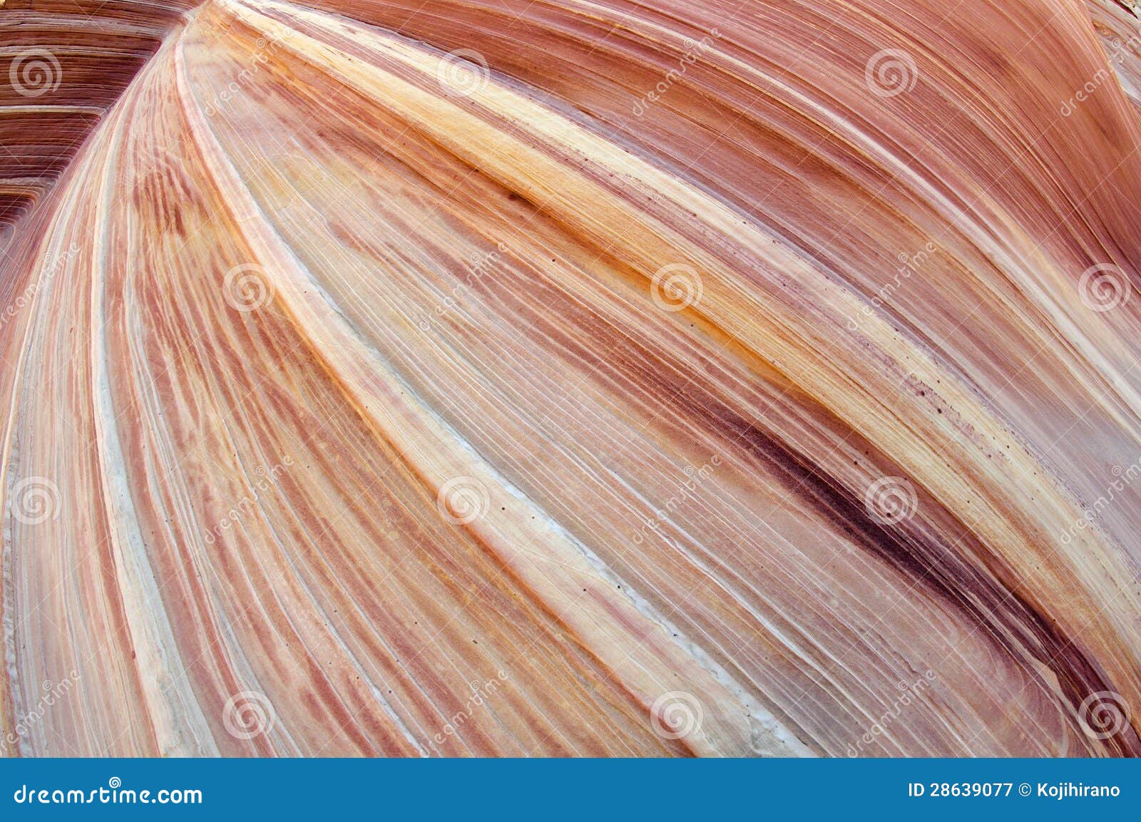 Sandstone Waves stock image. Image of outdoors, paria - 28639077