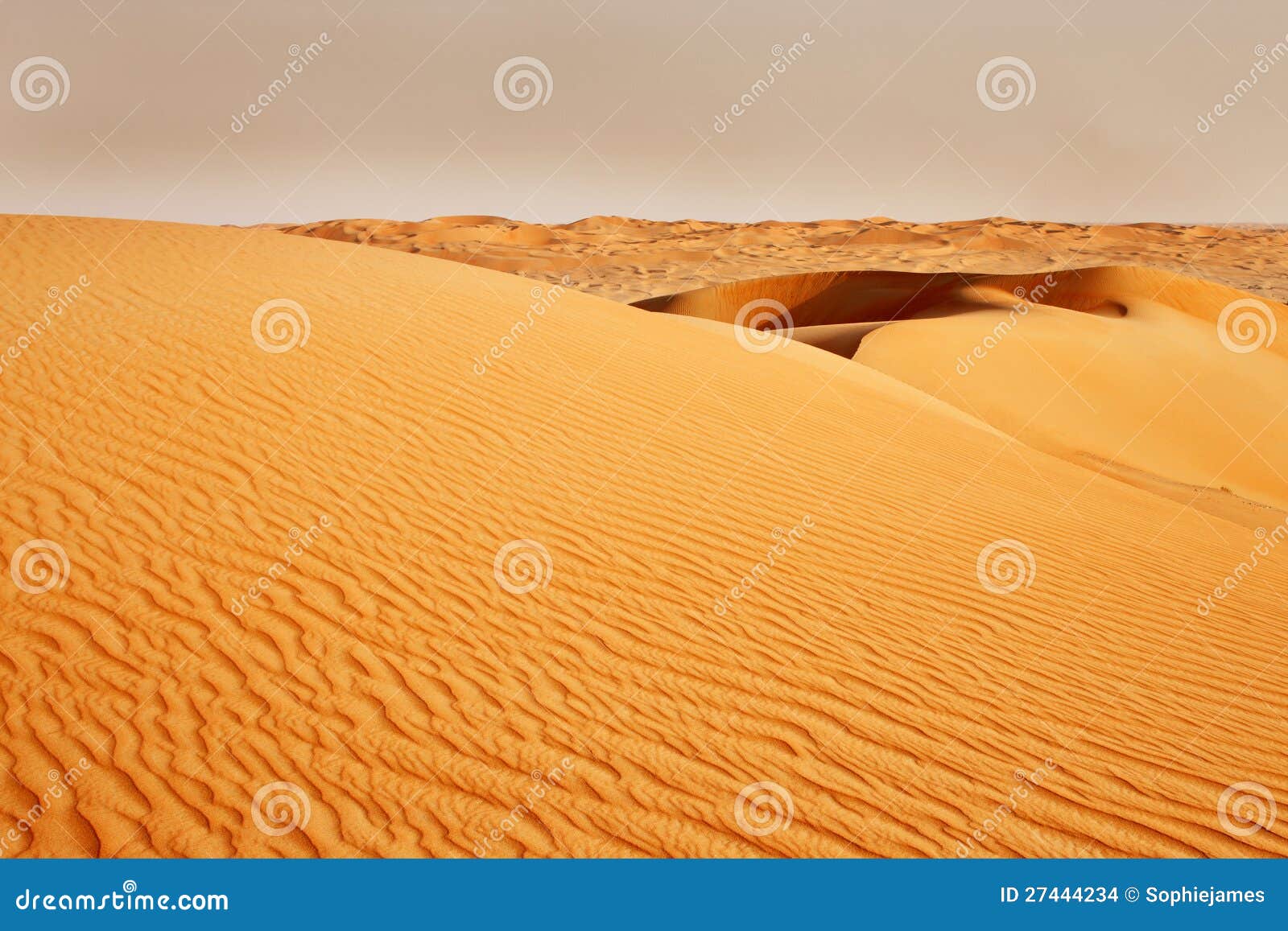 Sandstorm Coming Over the Arabian Desert Stock Photo - Image of arabia ...
