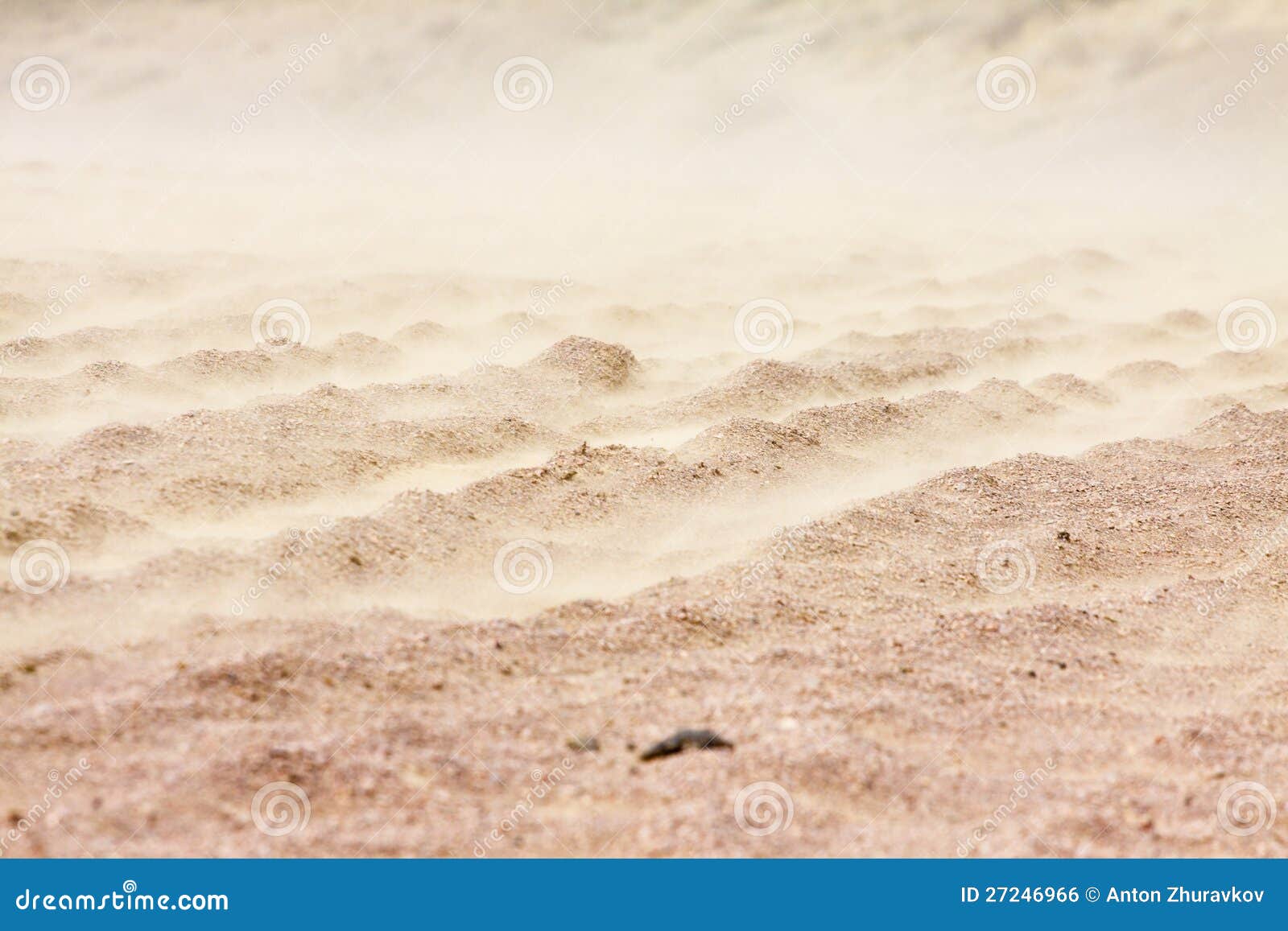 Sandstorm in desert stock photo. Image of grass, landscape - 27246966