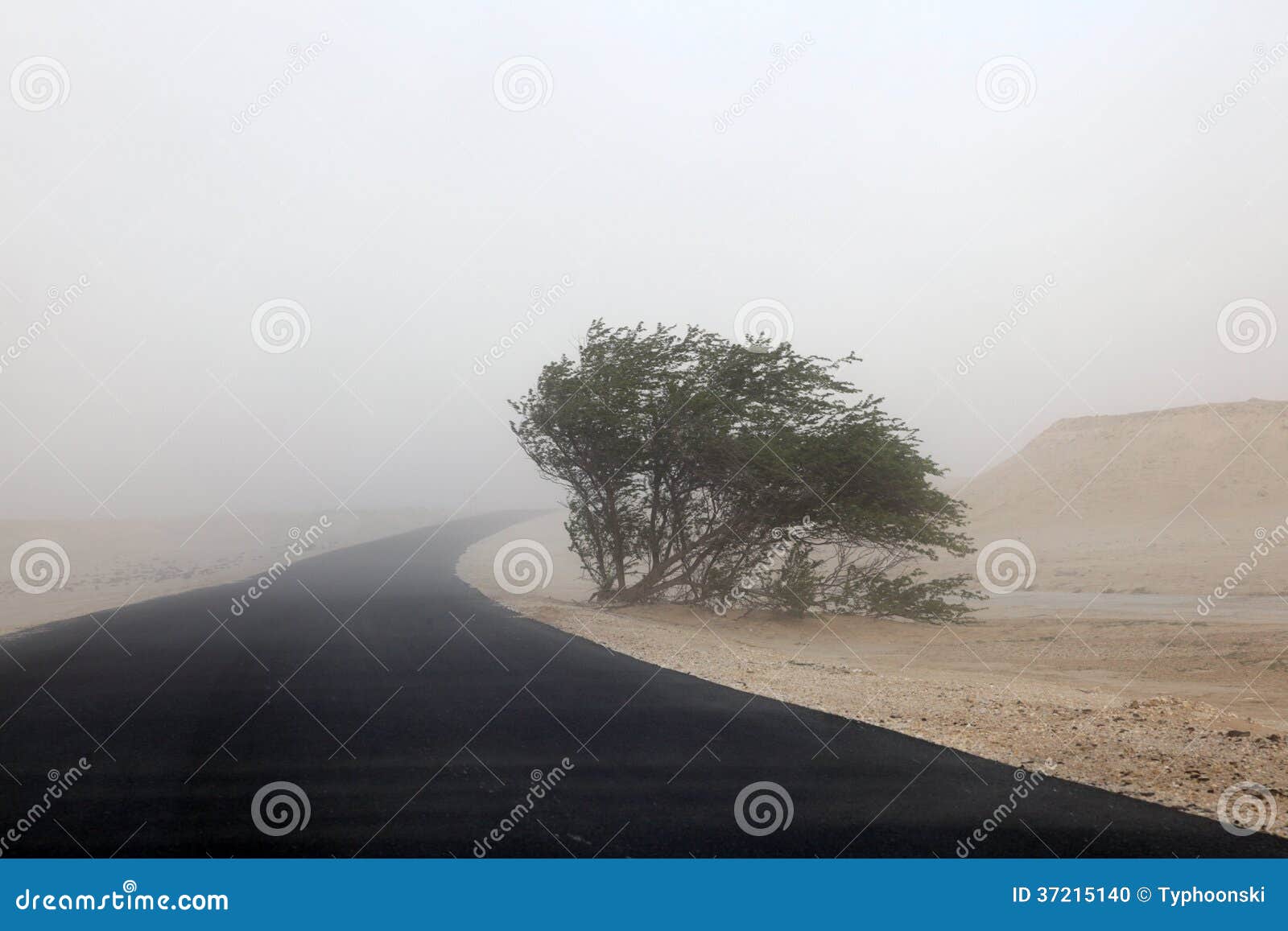 Sandstorm in the Desert of Qatar Stock Photo - Image of qatar, asphalt ...