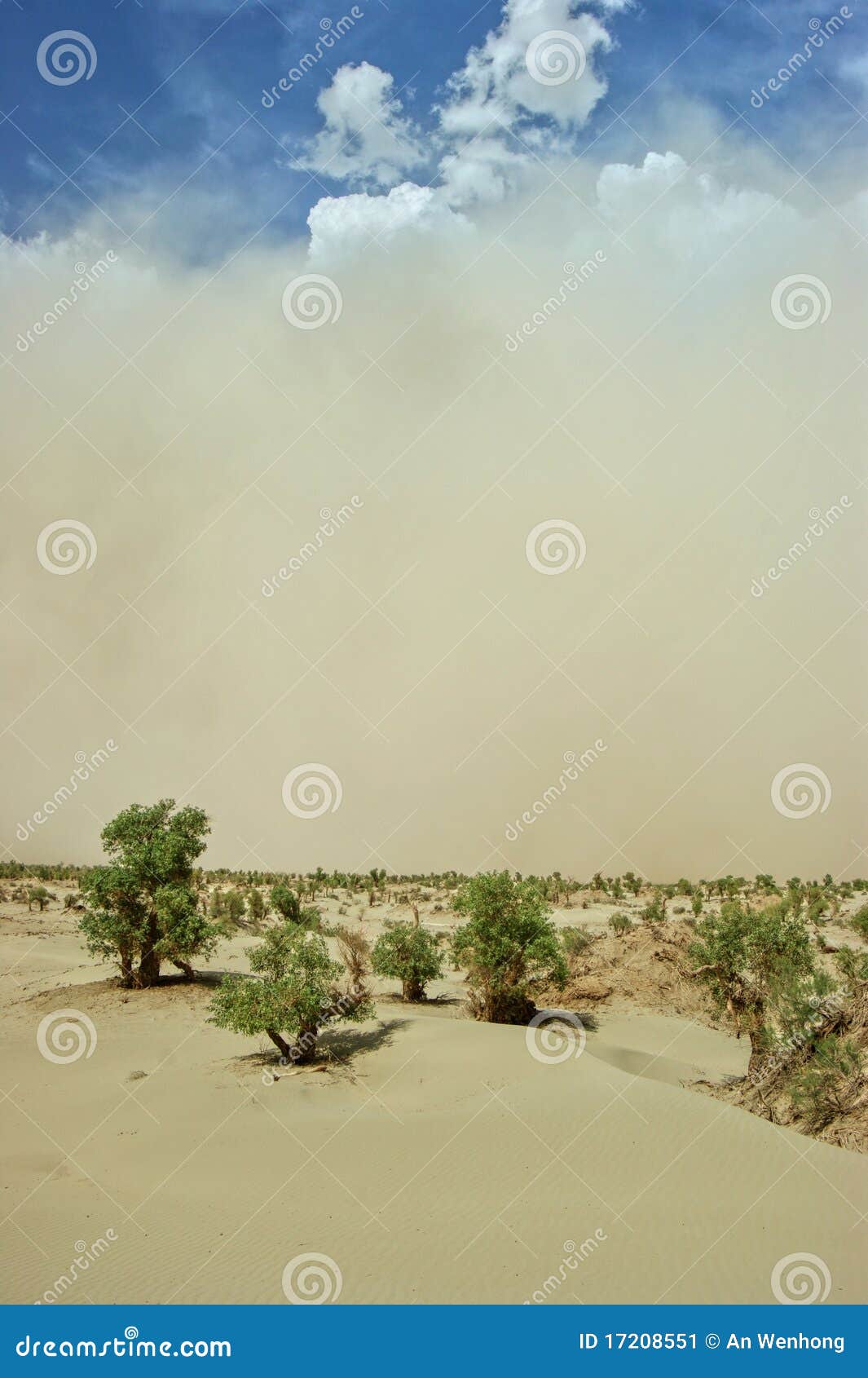Sandstorms stock image. Image of dust, drought, plants - 17208551