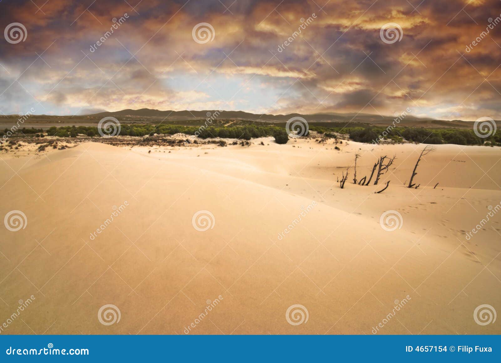 Sandstrom is coming stock photo. Image of clouds, parch - 4657154