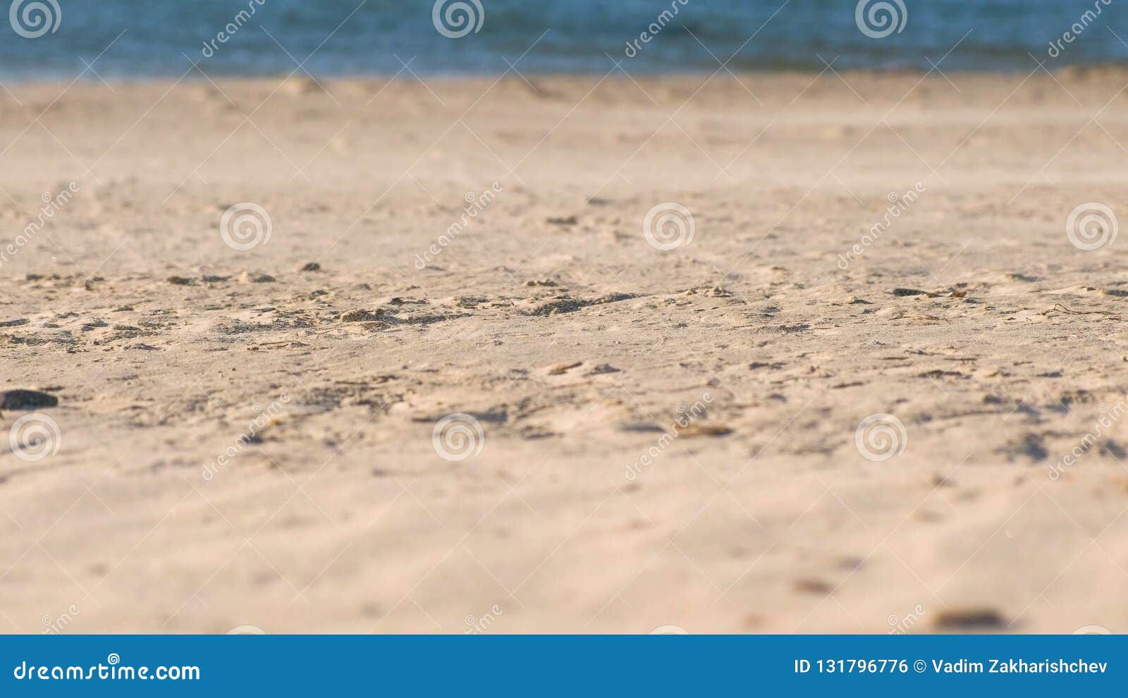 Sandsturm Und Starker Wind Auf Dem Seestrand Stockfoto - Bild von ...