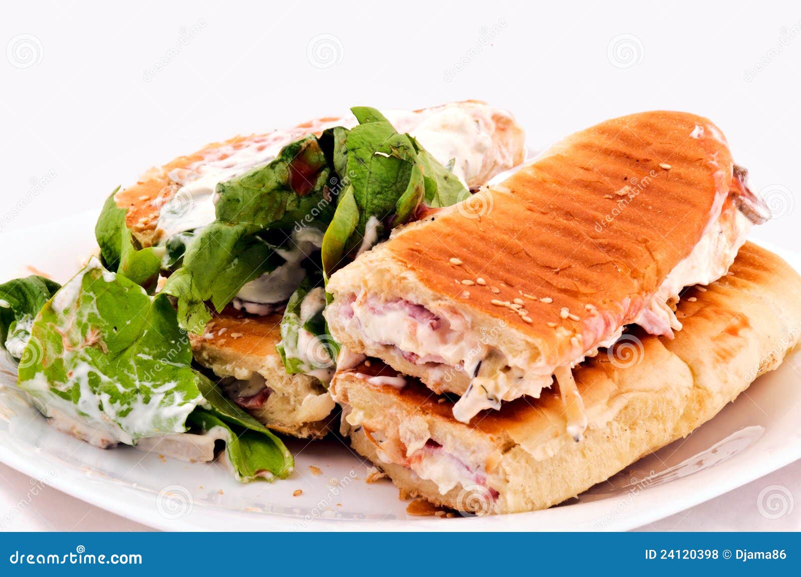 Sandw stock photo. Image of onion, food, sandwich, meal - 24120398
