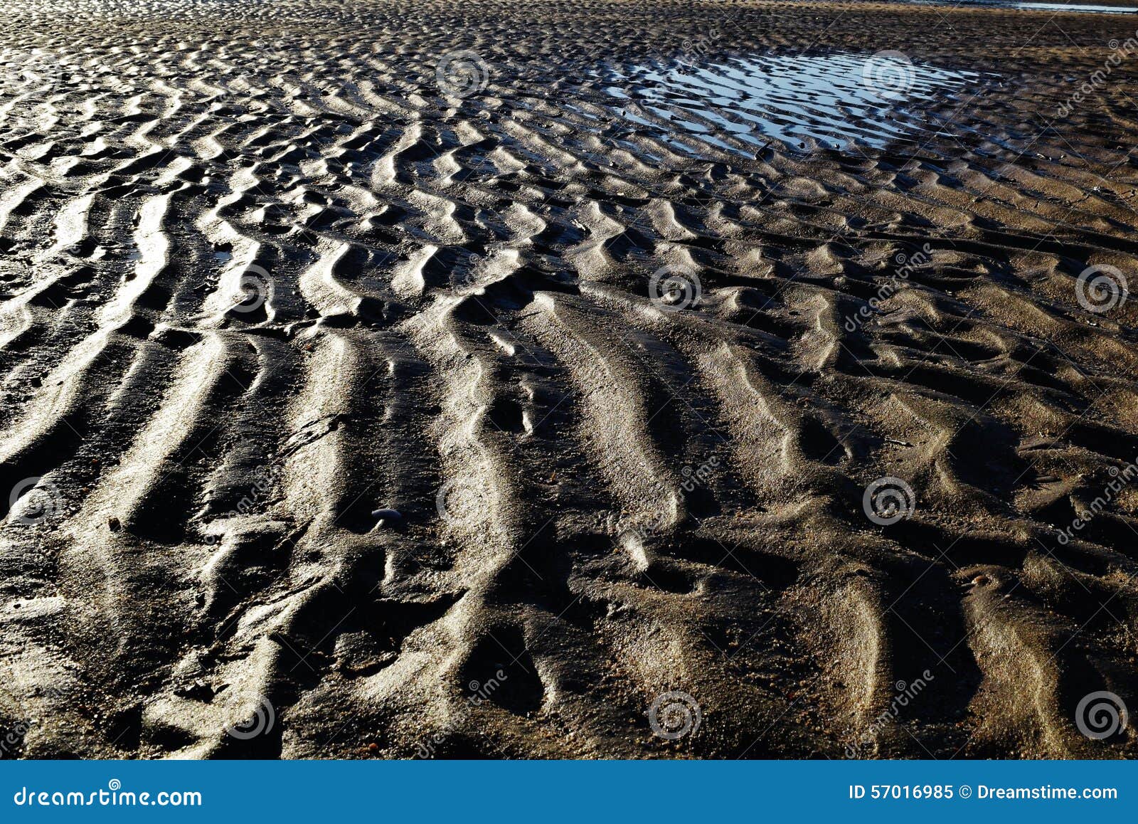 Sandwaves stock image. Image of detail, shine, outdoor - 57016985