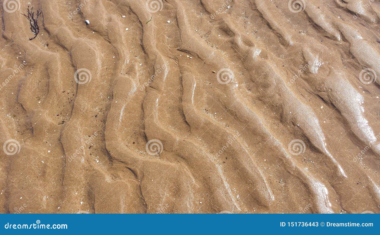 Sandwaves1 stock image. Image of accurate, lower, current - 151736443