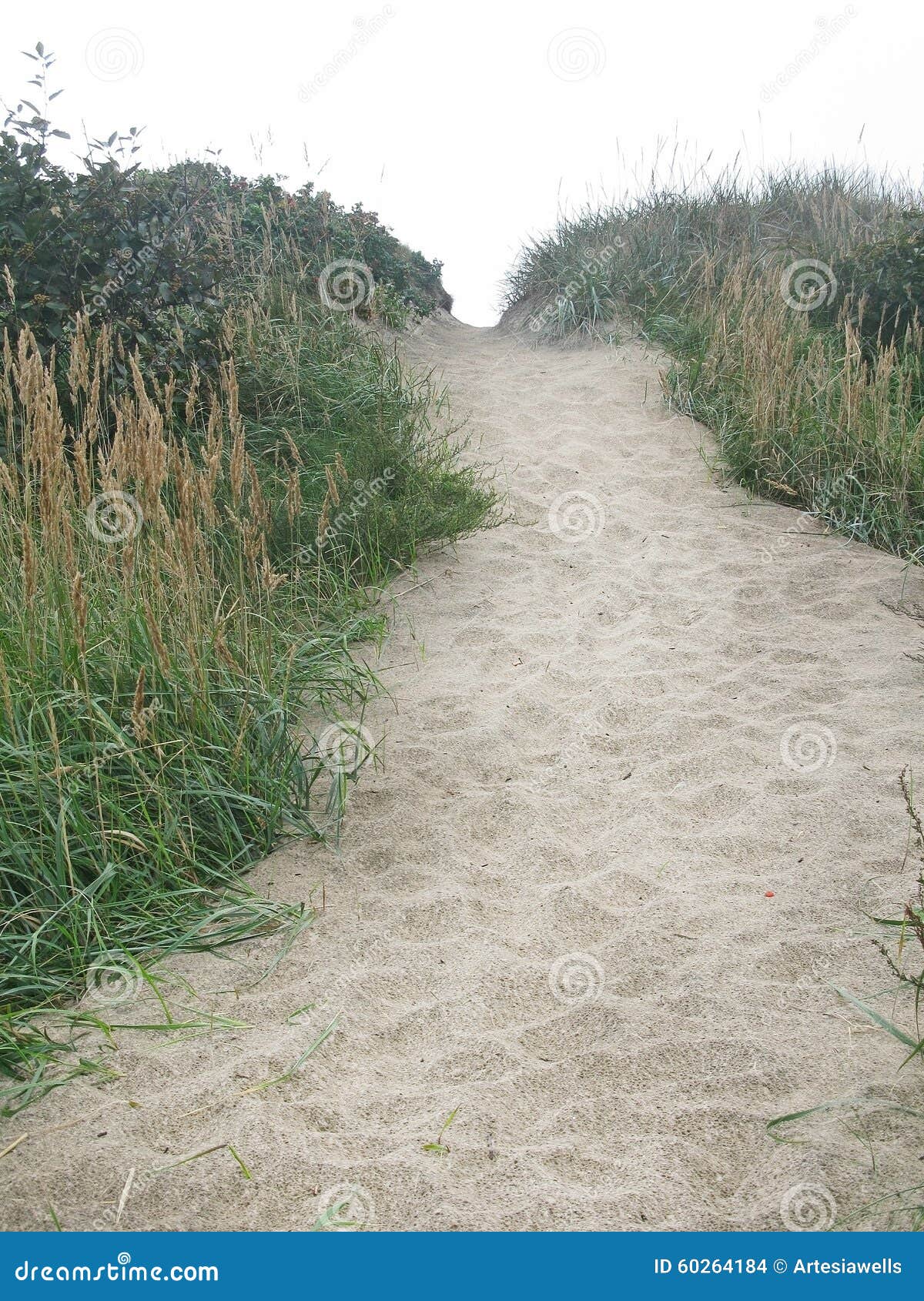 Sandweg stockfoto. Bild von dünen, freiheit, küste, wolke - 60264184