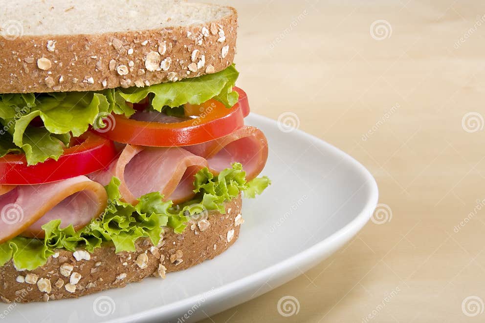 Sandwich stock photo. Image of vegetable, closeup, delicious - 15315288