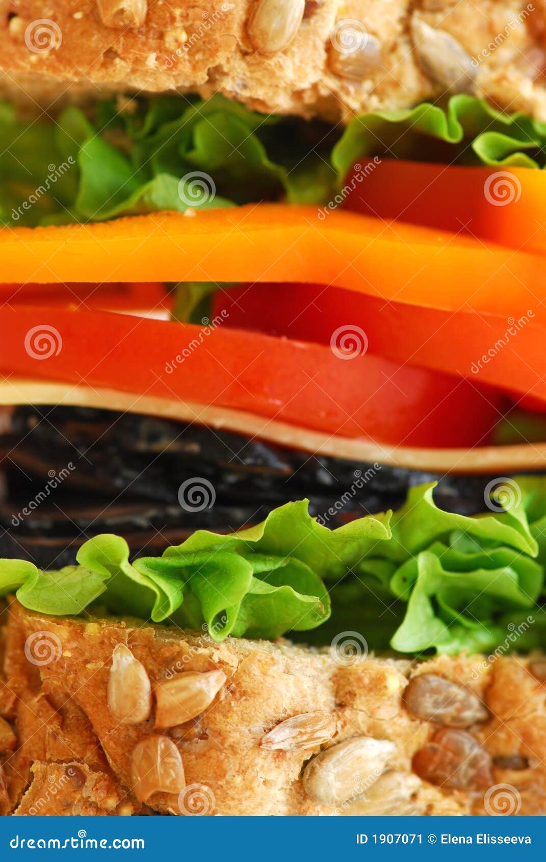 Sandwich stock image. Image of lettuce, lunch, close, produce - 1907071