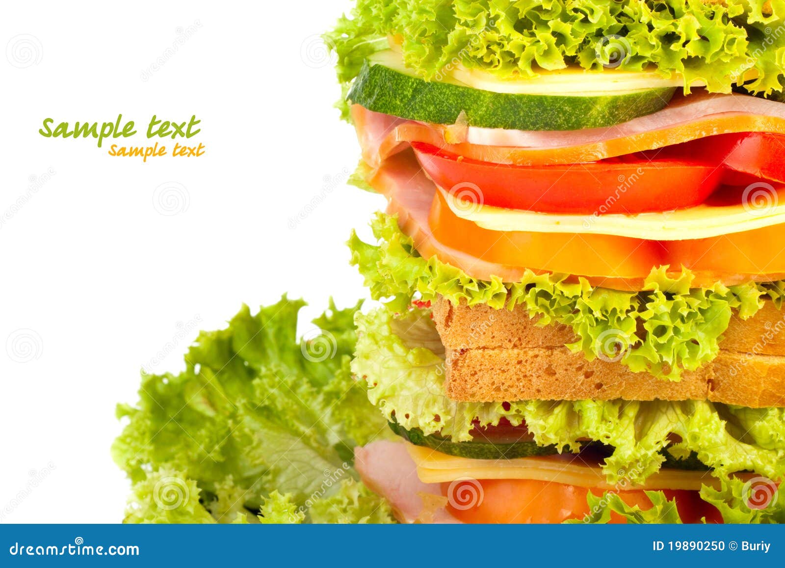 Sandwich stock photo. Image of cheese, leaf, natural - 19890250
