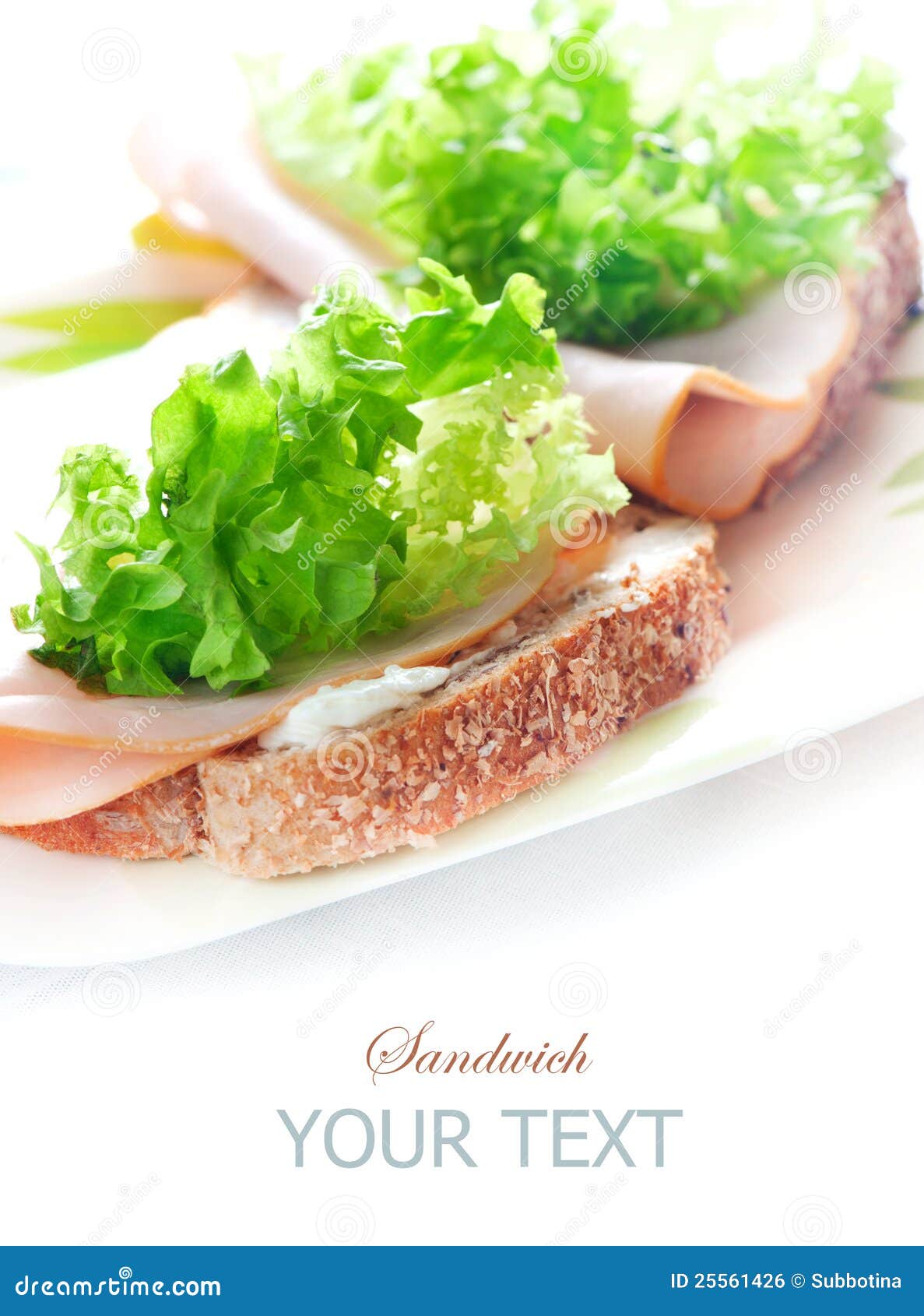 Sandwich stock photo. Image of leaf, health, fastfood - 25561426