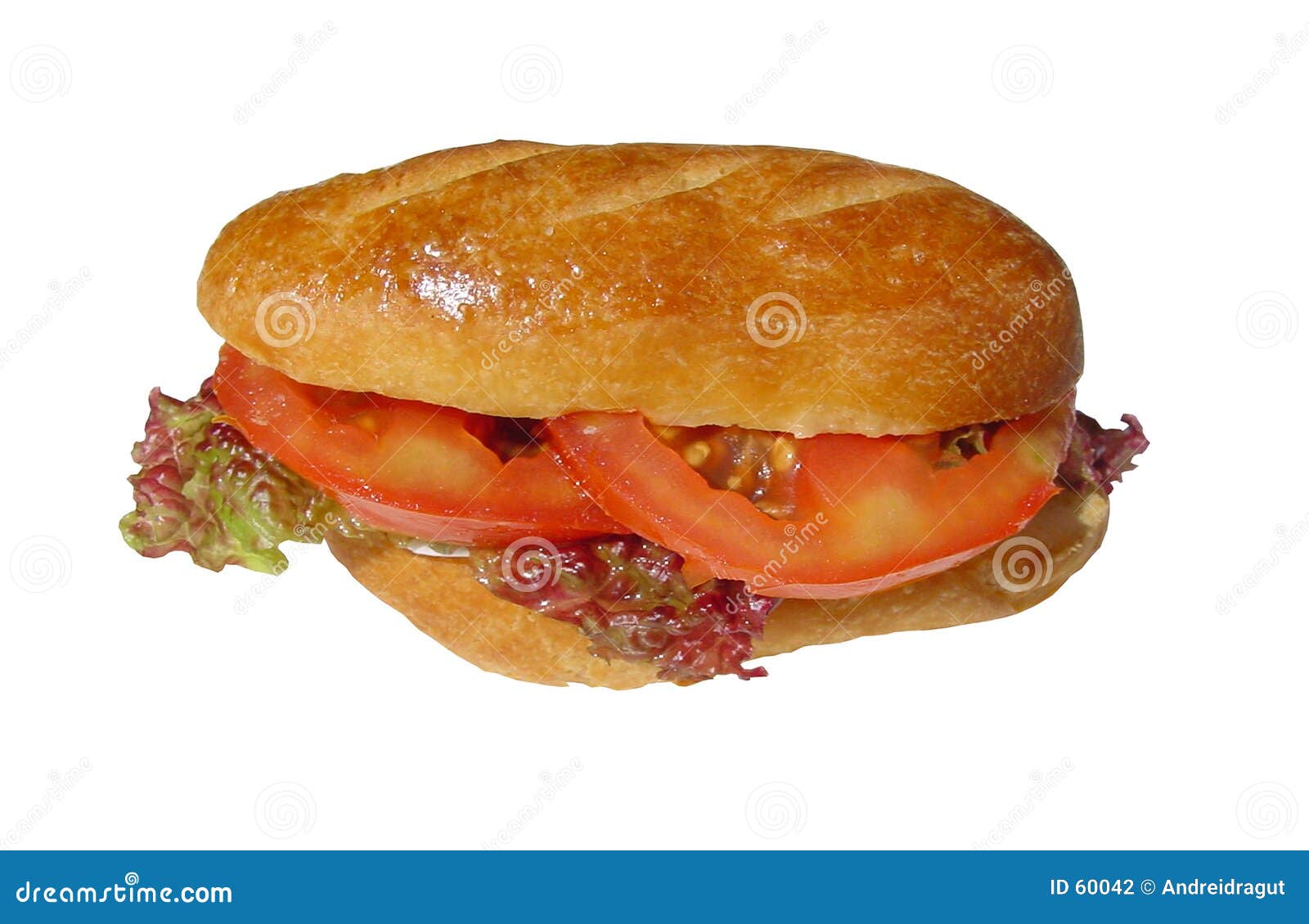 Sandwich stock photo. Image of salad, sandwich, tomato, food - 60042