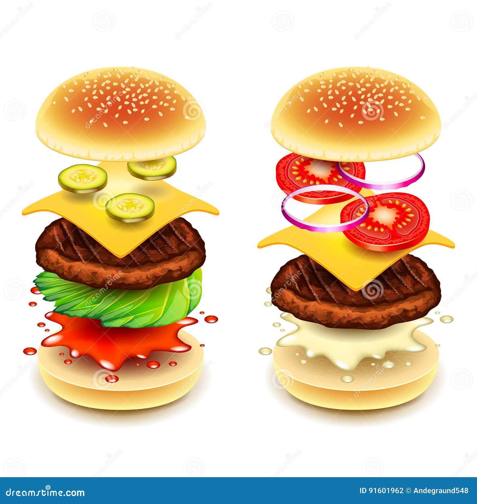 Sandwich Burger Layers on White Vector Stock Vector - Illustration of ...