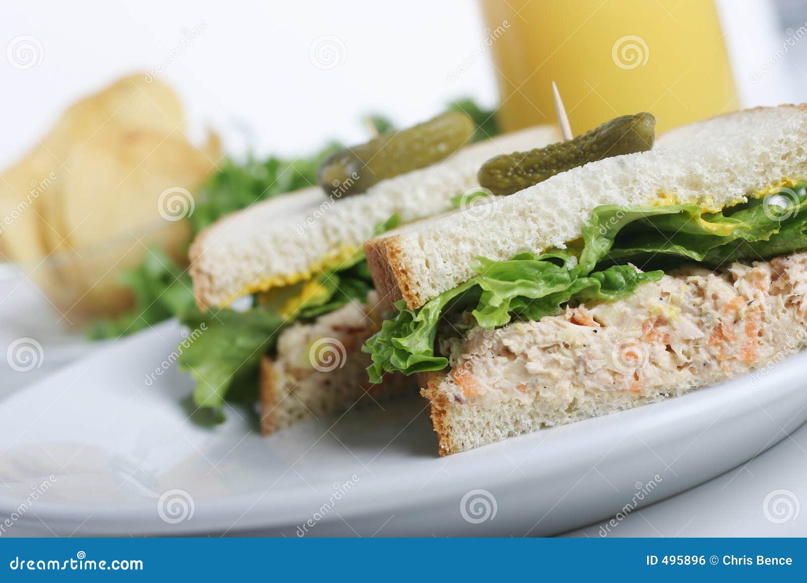 Sandwich Closeup stock photo. Image of delight, bread, culinary - 495896