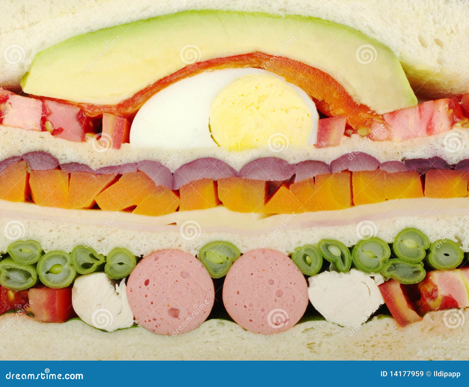 Sandwich (Cross Section) stock image. Image of vegetable - 14177959