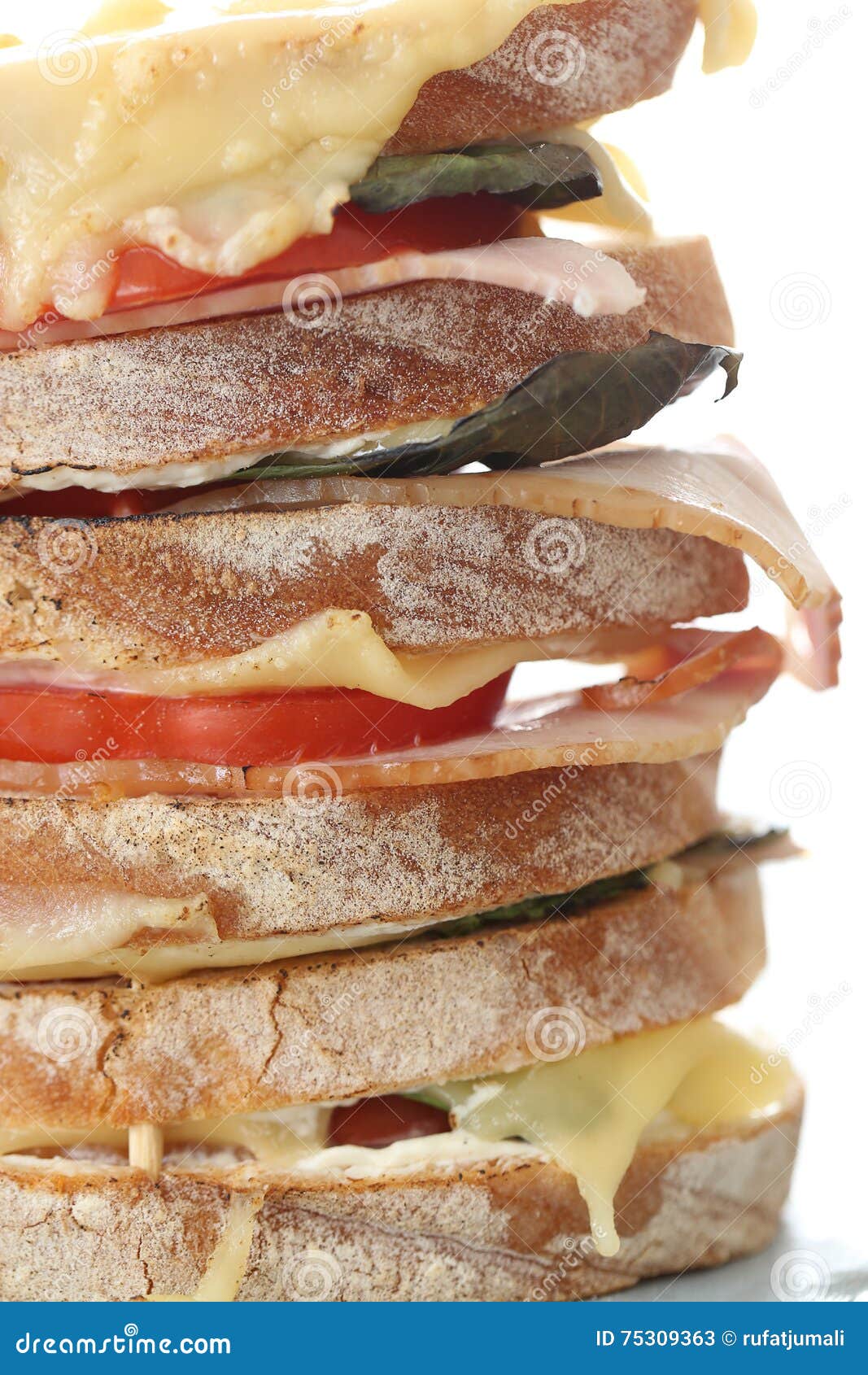 Sandwich stock image. Image of diet, breakfast, leaves - 75309363